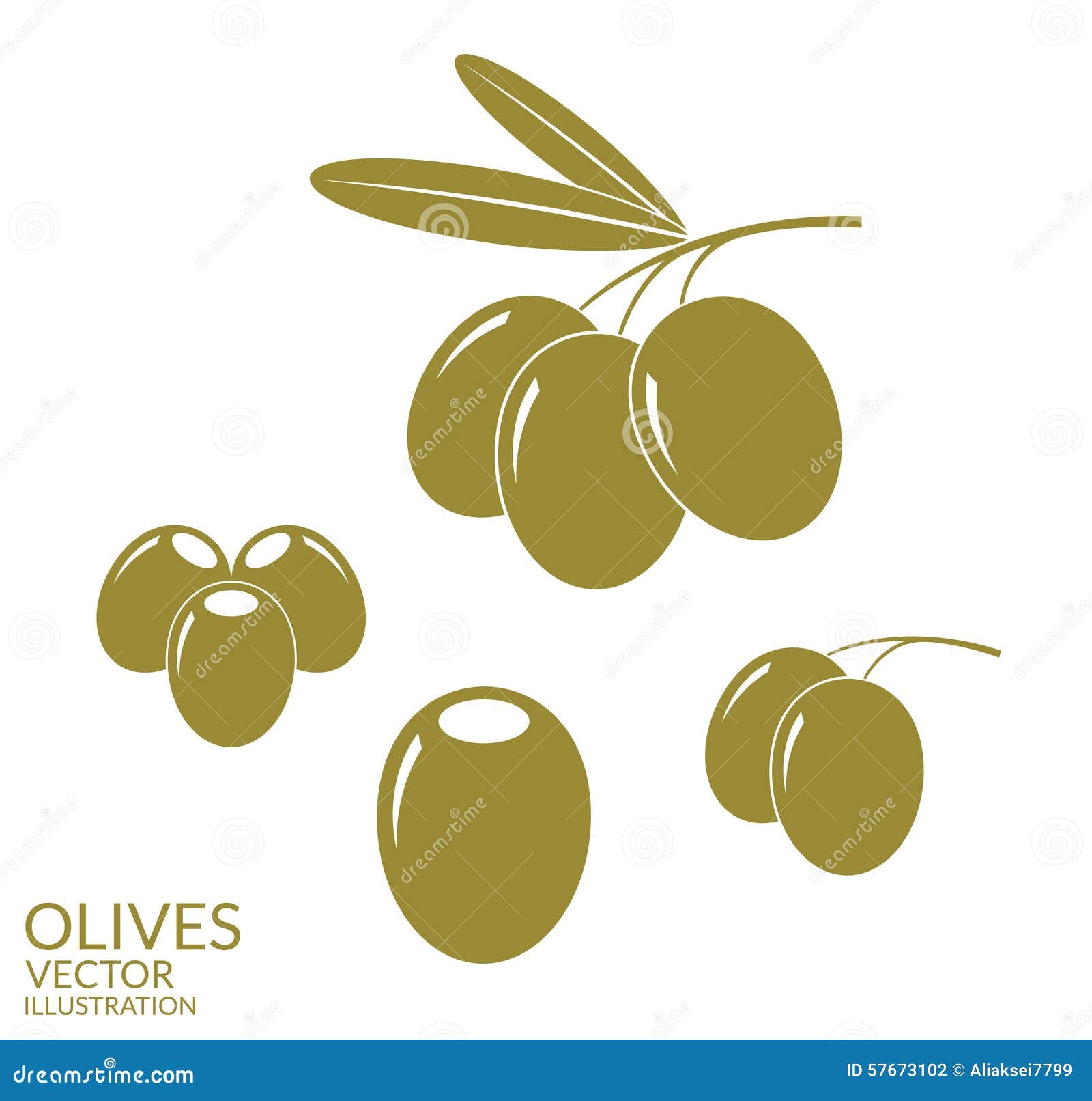Olives. Set stock vector. Illustration of icon, vegetarian - 57673102