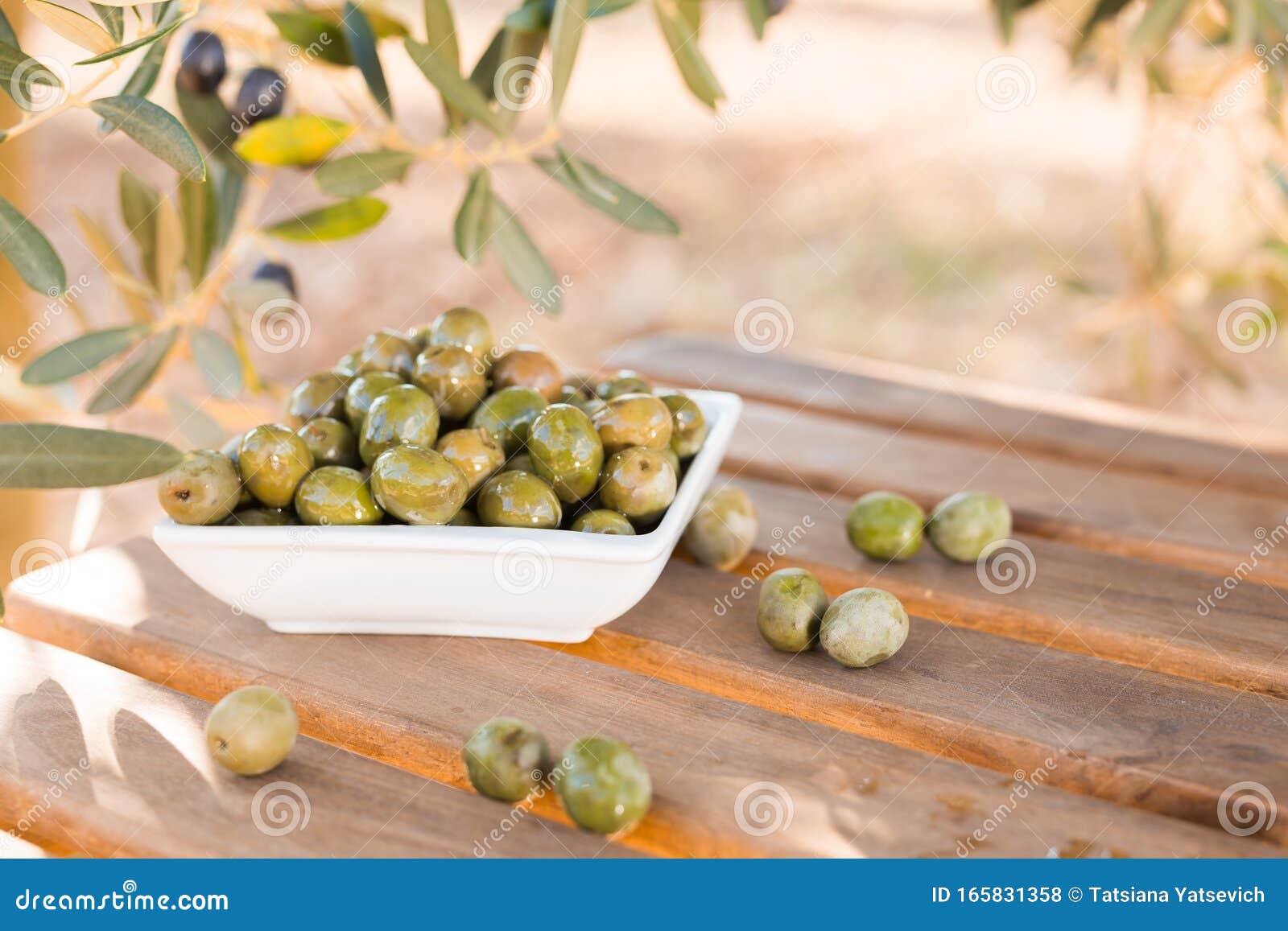 Olives on Table in an Olive Grove Stock Photo - Image of italian ...