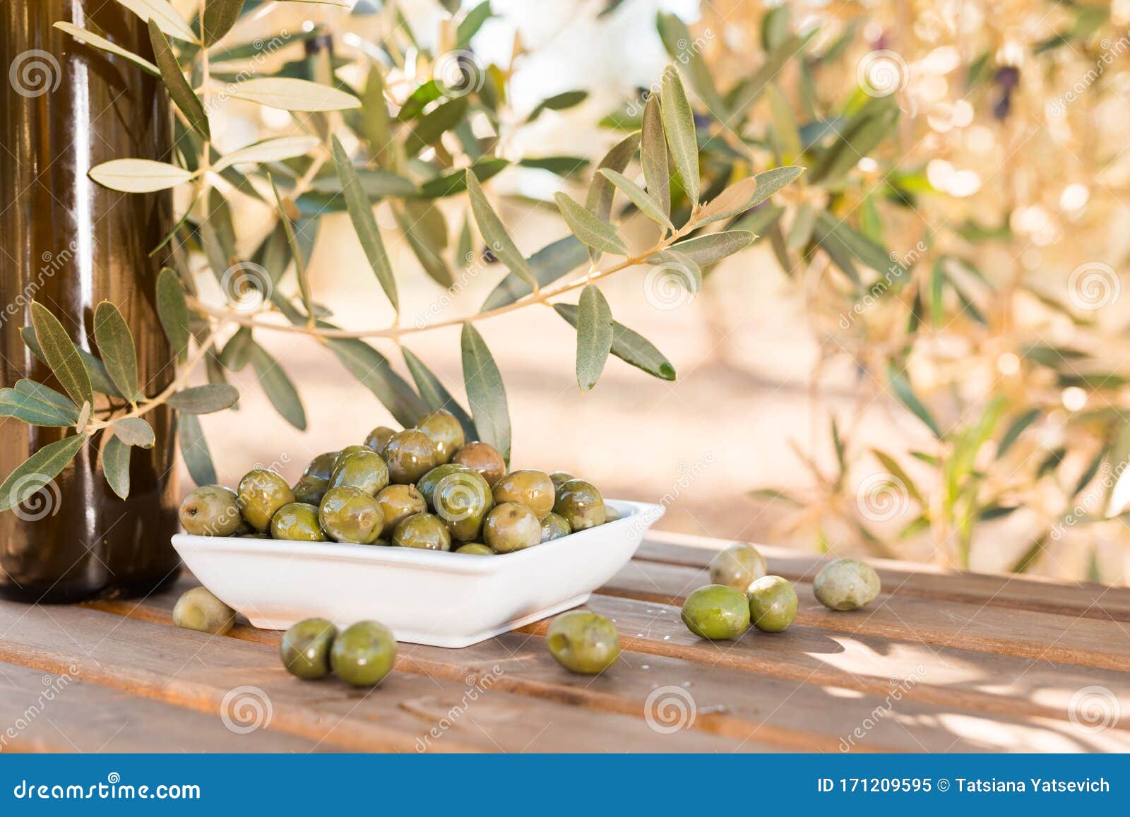 Olives on Table in an Olive Grove Stock Image - Image of agriculture ...