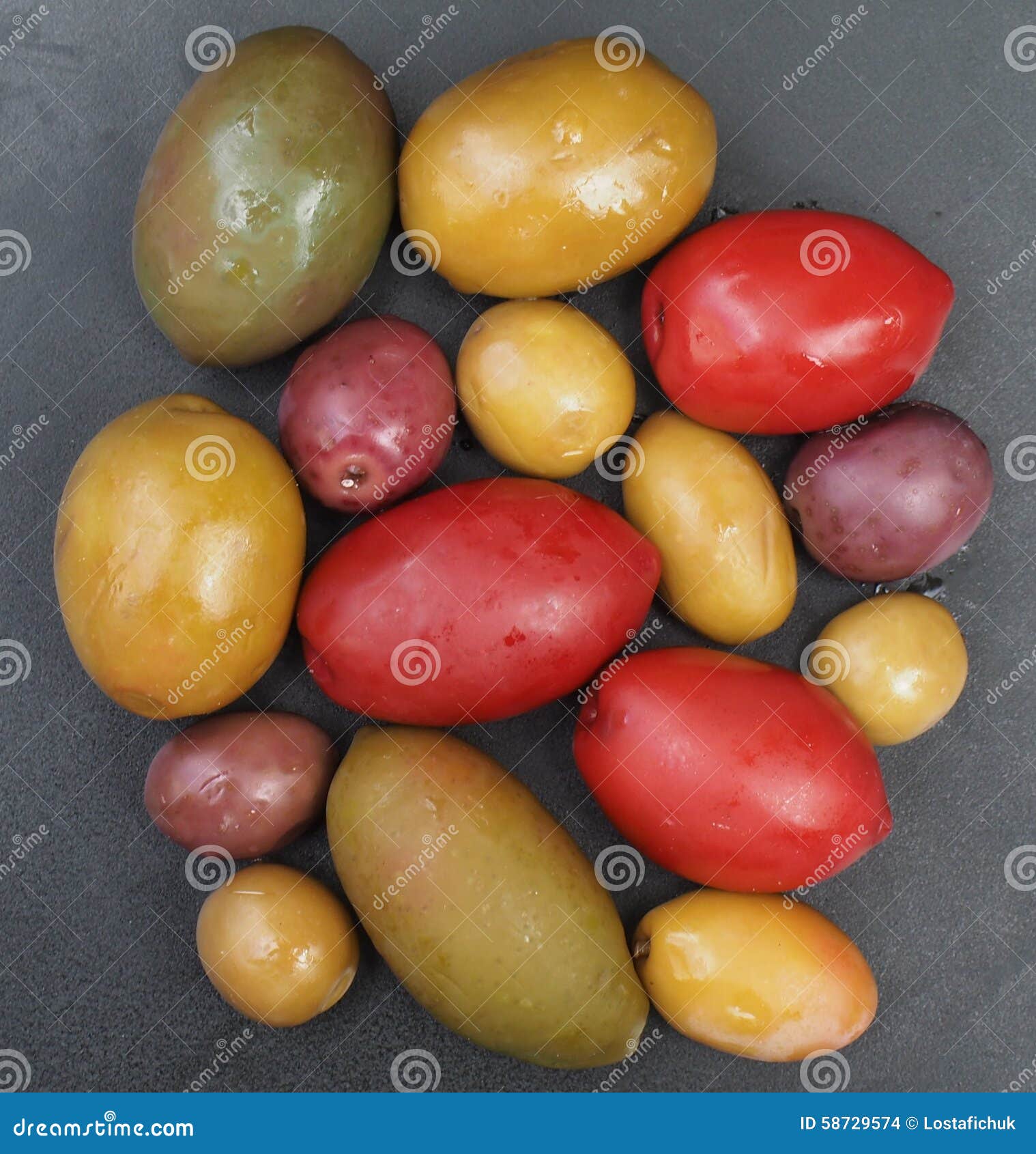 Olives Varieties stock photo. Image of tree, cerignola - 58729574