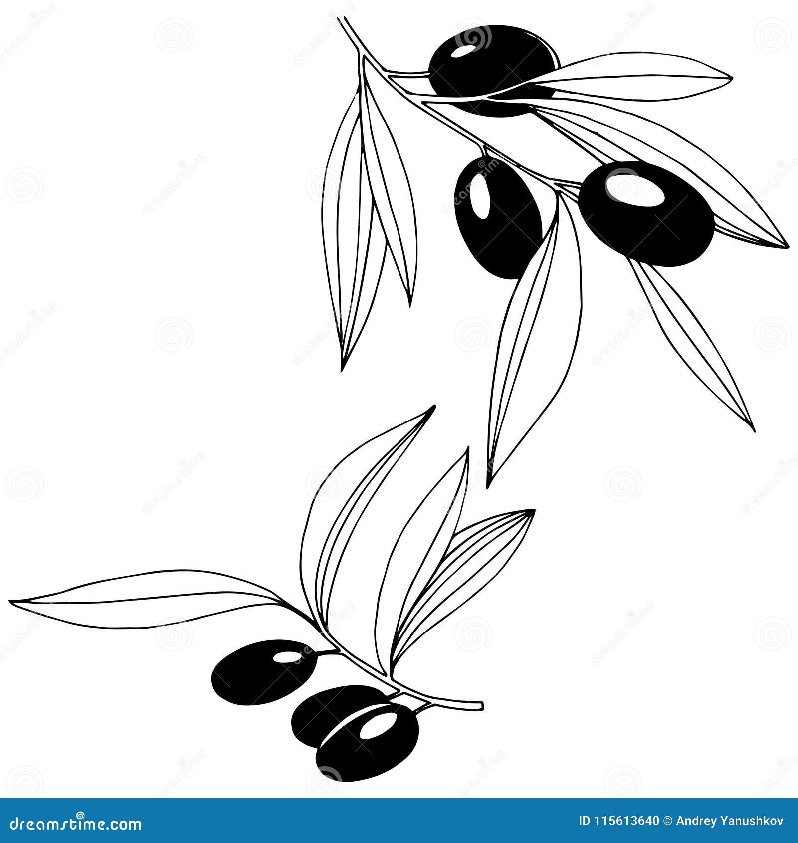 Olivo En Un Estilo Del Vector Aislado Ilustración del Vector ...
