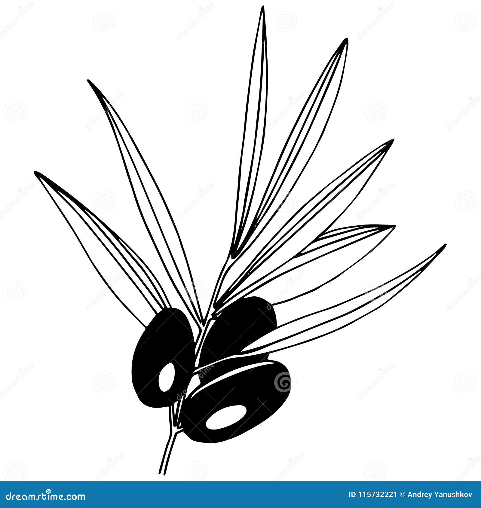 Olivo En Un Estilo Del Vector Aislado Ilustración del Vector ...