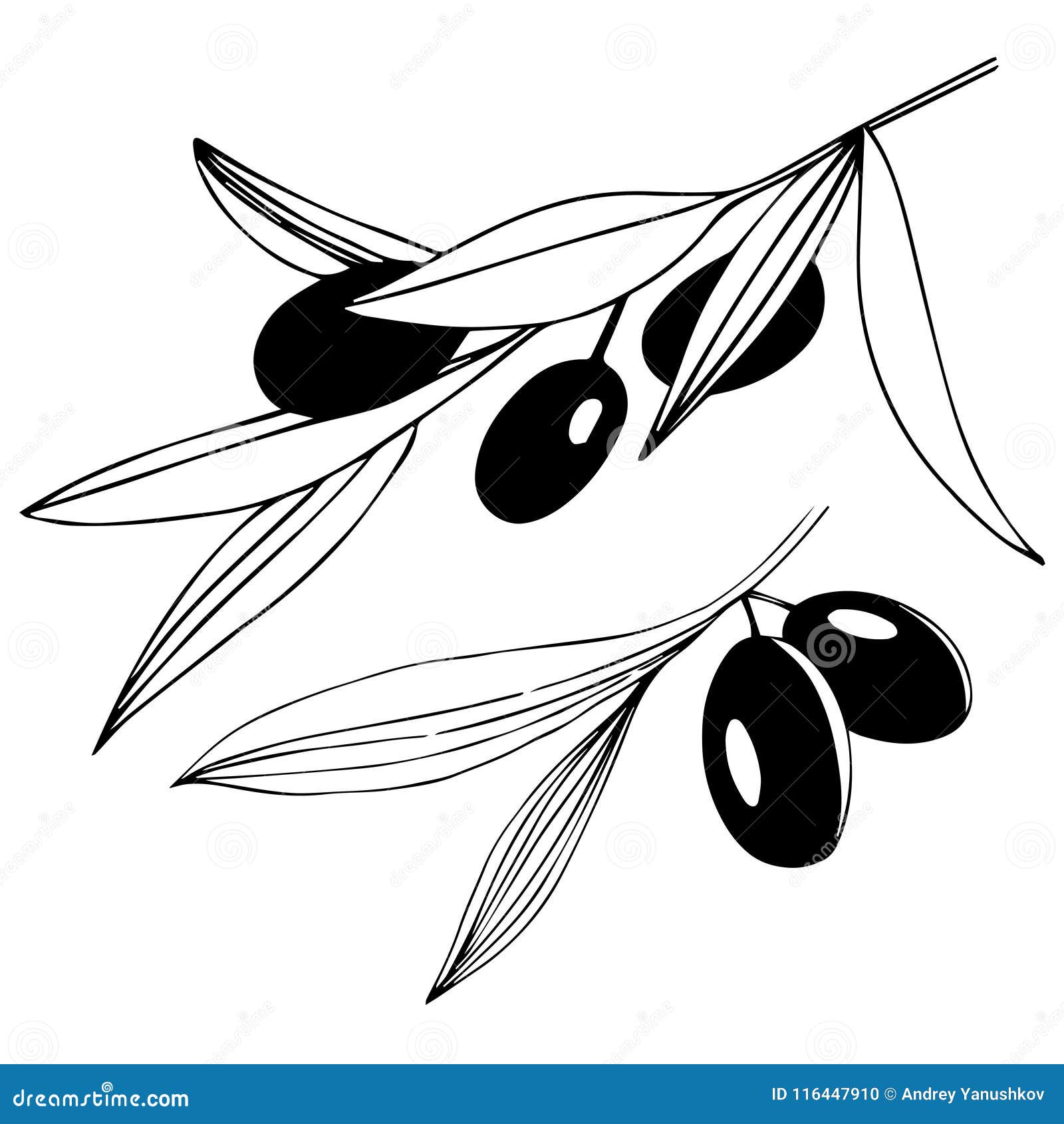 Olivo En Un Estilo Del Vector Aislado Ilustración del Vector ...
