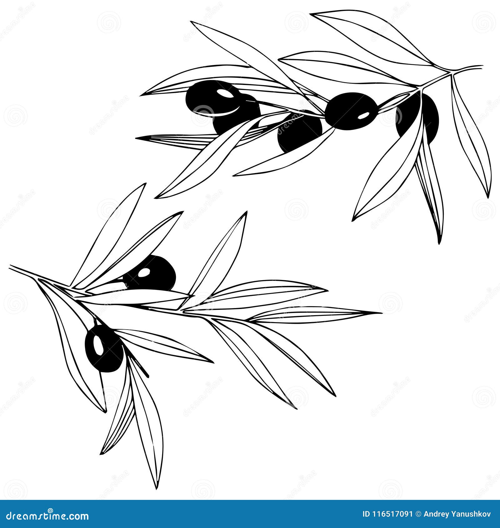 Olivo En Un Estilo Del Vector Aislado Ilustración del Vector ...