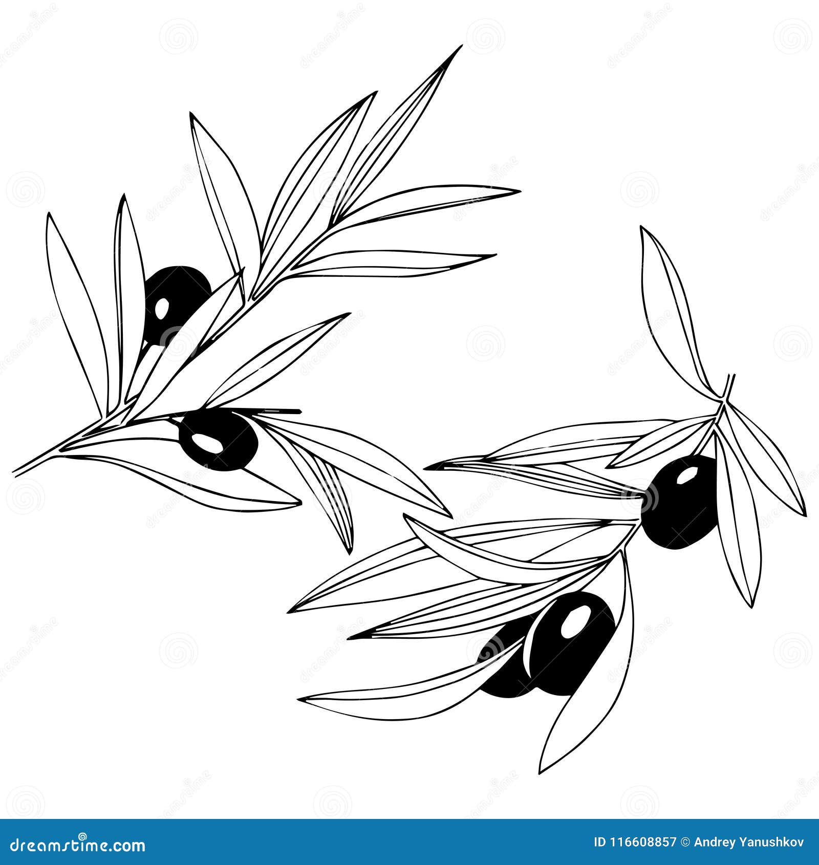 Olivo En Un Estilo Del Vector Aislado Ilustración del Vector ...