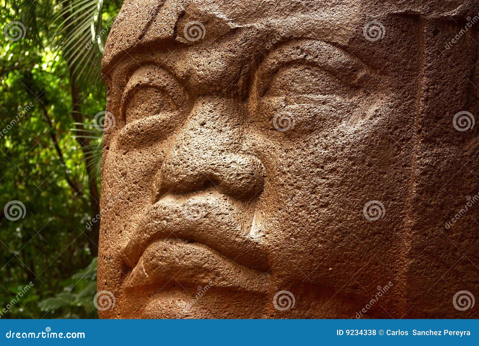 Olmec stock photo. Image of archeological, location, historical - 9234338