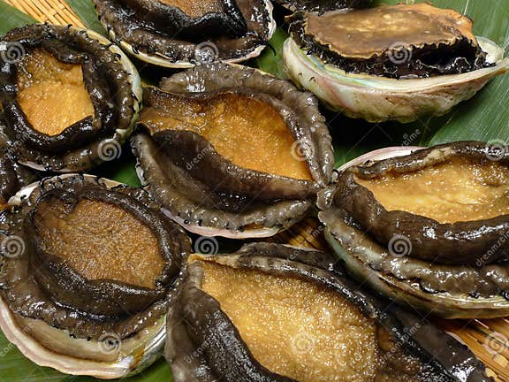 Olmos imagen de archivo. Imagen de alimento, coma, cocinado - 14187849