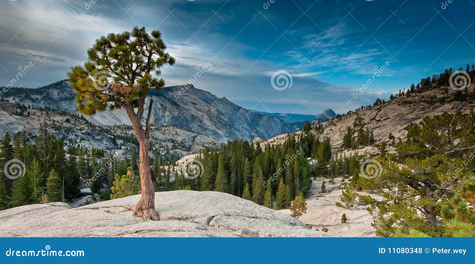 Olmsted point yosemite stock photo. Image of rocks, national - 11080348