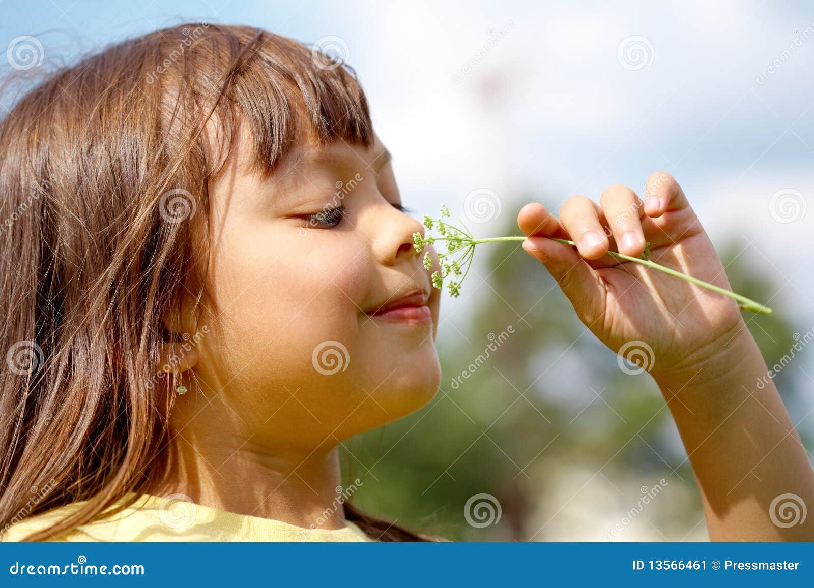 Olor agradable imagen de archivo. Imagen de positivo - 13566461