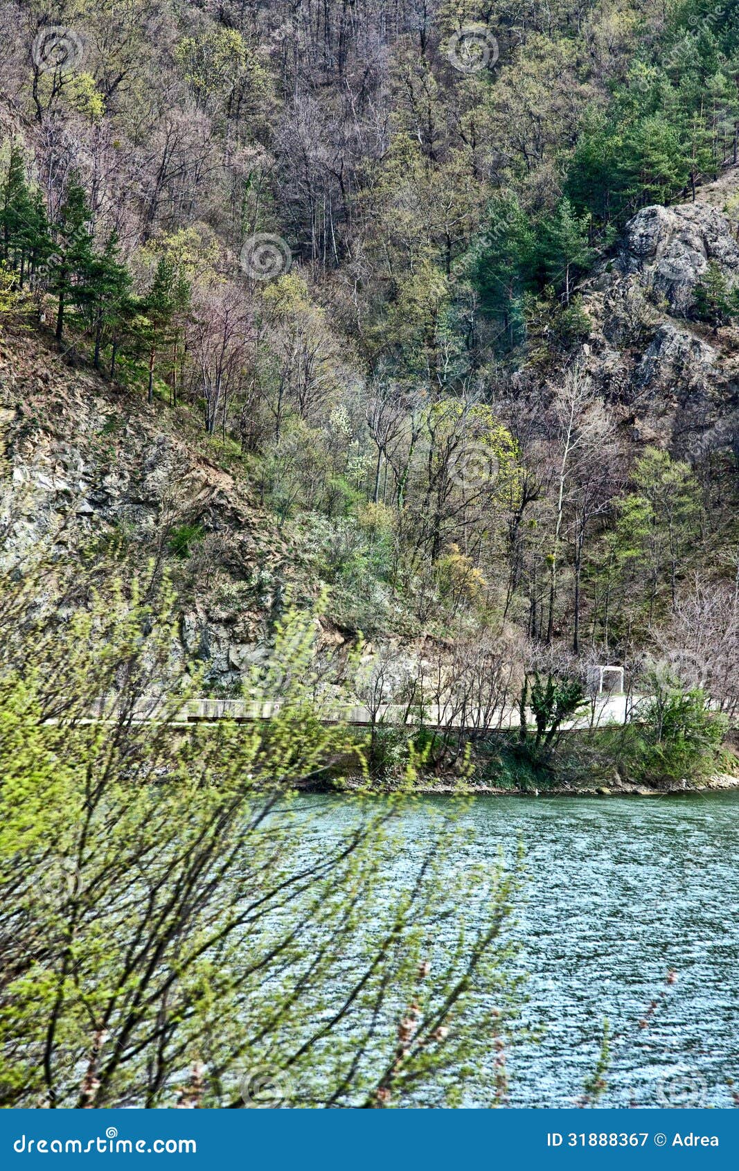 Olt River at the Exit from Mountains Stock Image - Image of green ...