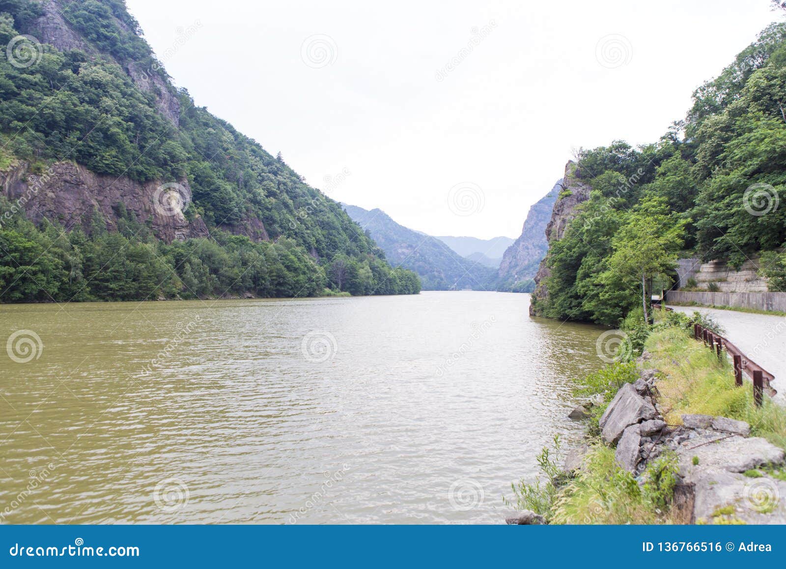 Olt River at the Exit from Mountains Stock Photo - Image of wooded ...