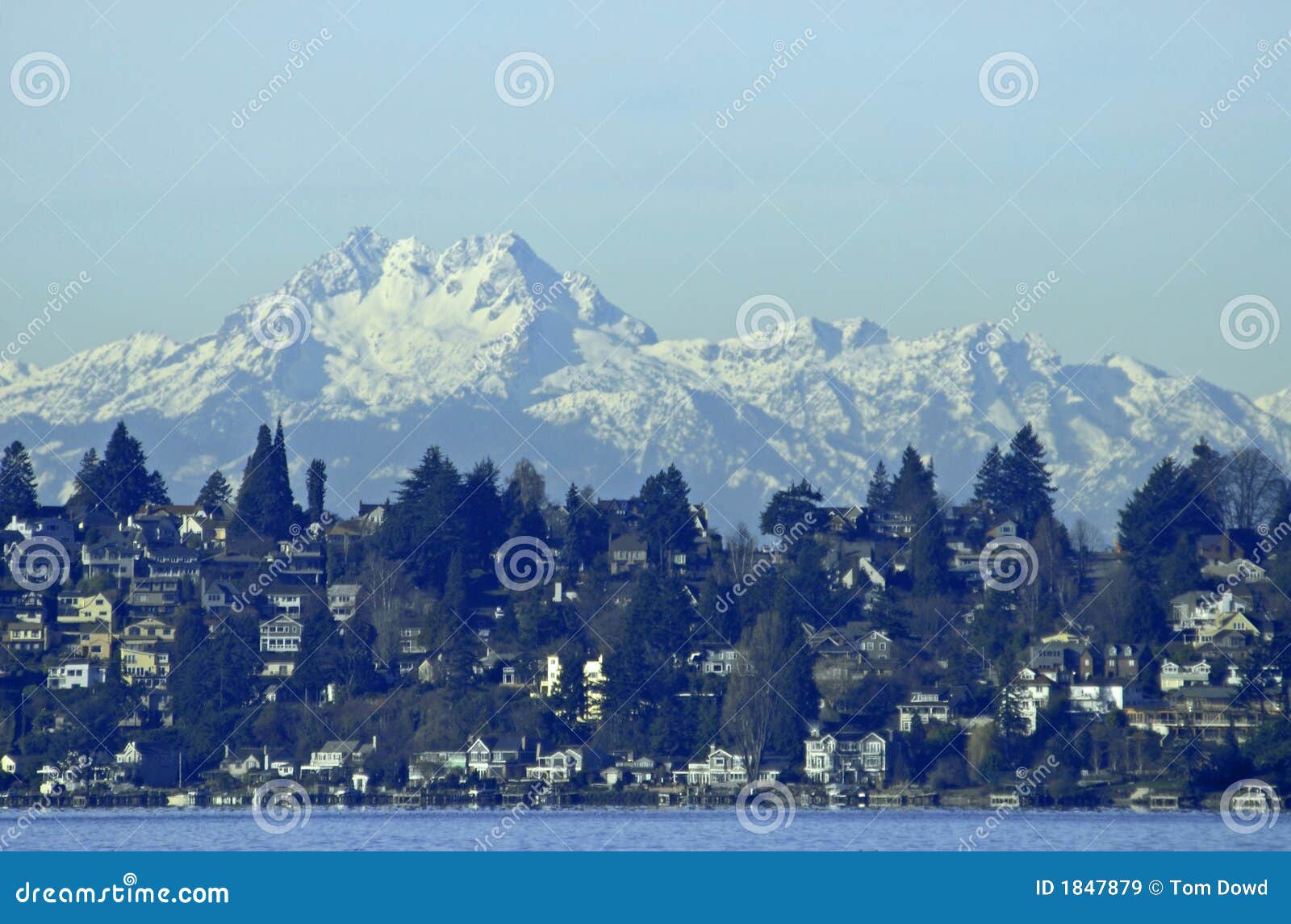 Olympic Mountain Range stock image. Image of range, waterfront - 1847879