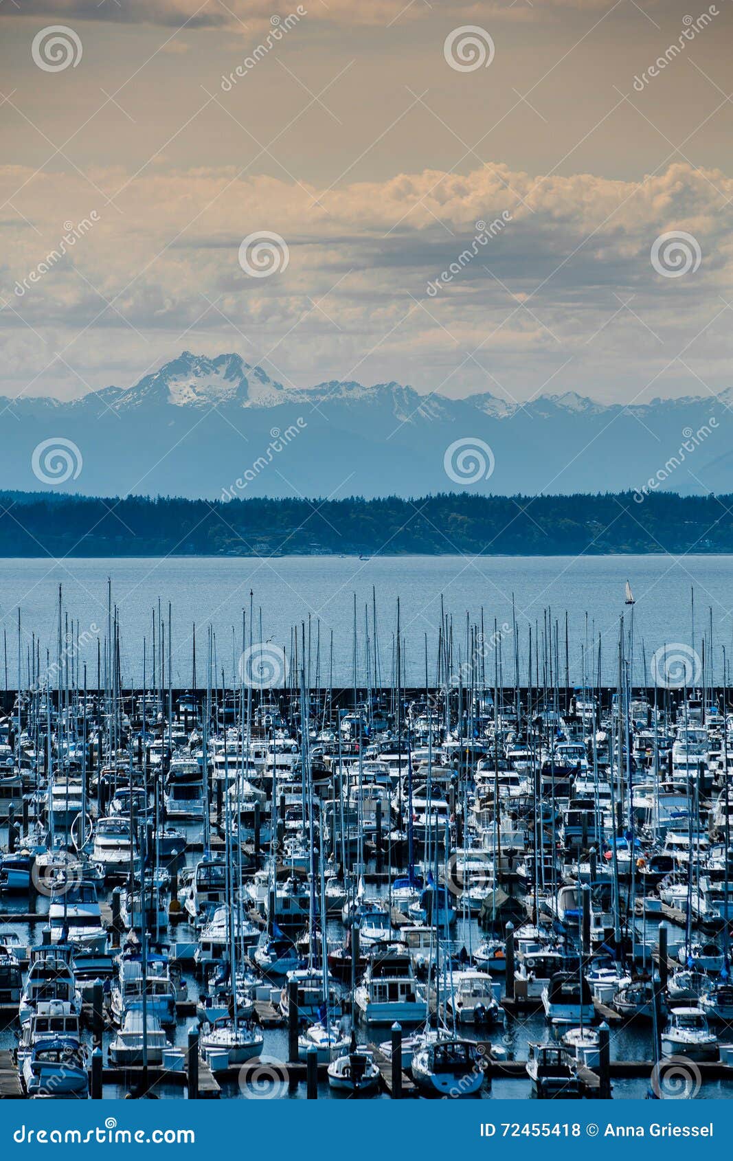 Olympic Mountain Range from Seattle Shore Stock Photo - Image of ...