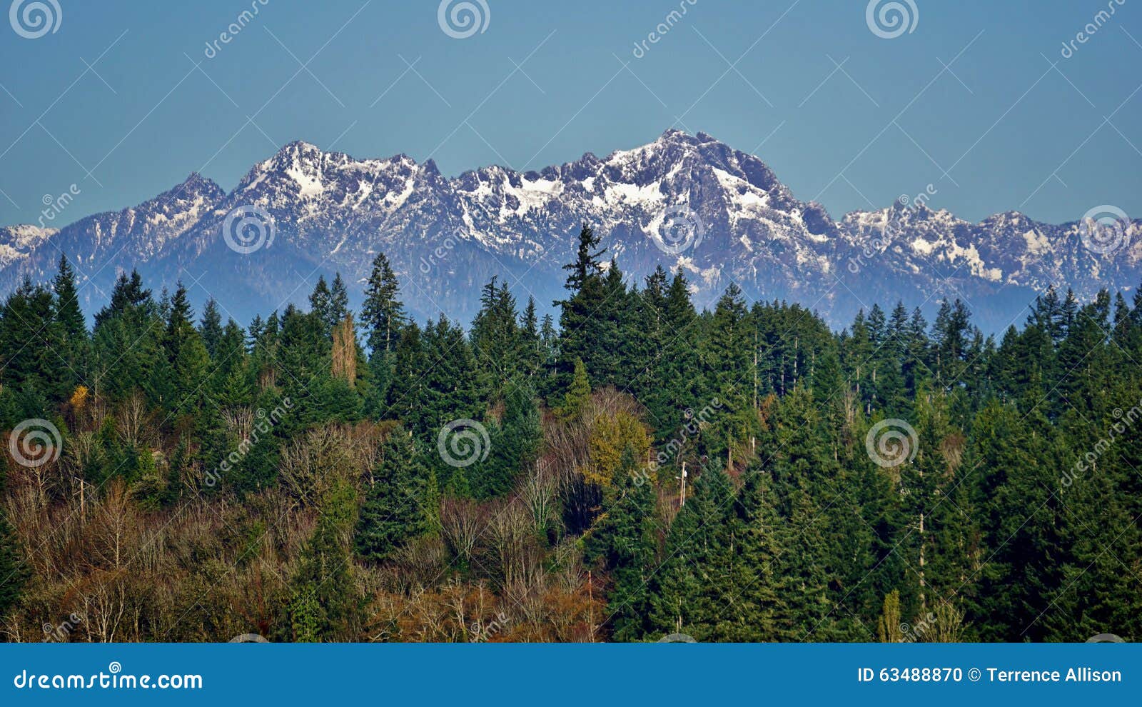 Olympic mountains stock photo. Image of town, mountain - 63488870