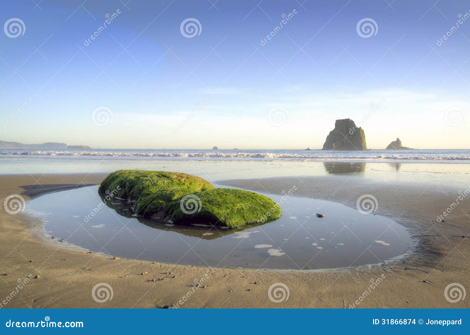Olympic National Park Shore Stock Photo - Image of pacific, ocean: 31866874