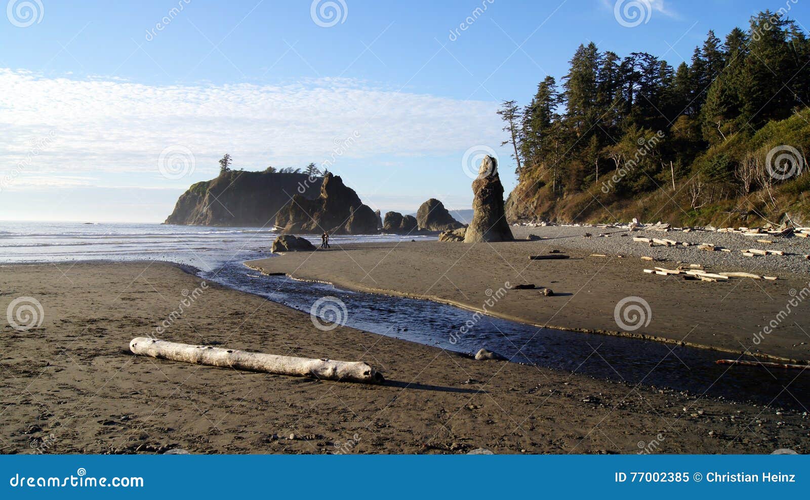 OLYMPIC NATIONAL PARK, USA, 03th OCTOBER 2014 - Ruby Beach Near Seattle ...