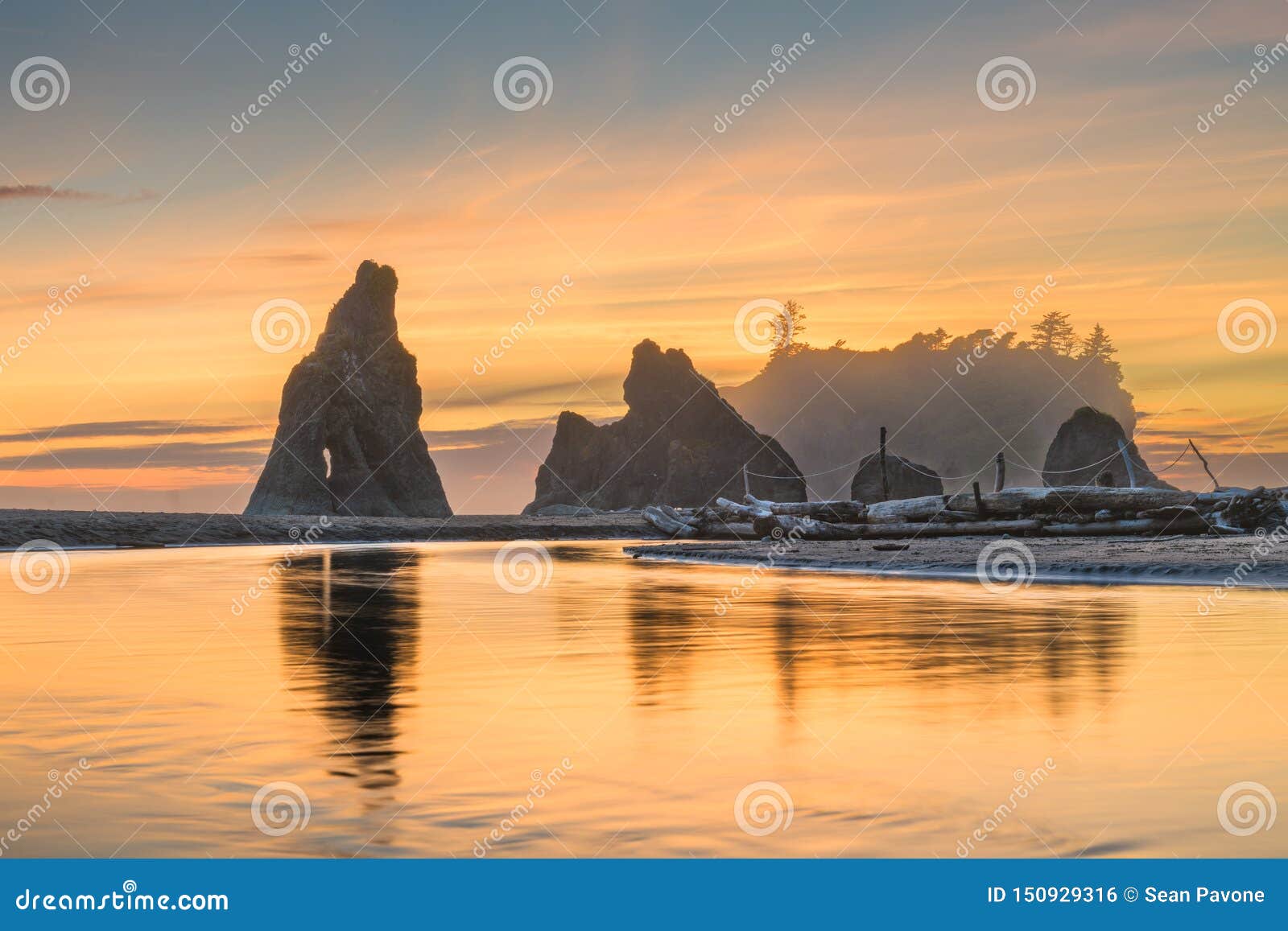 Olympic National Park, Washington, USA Stock Photo - Image of ocean ...