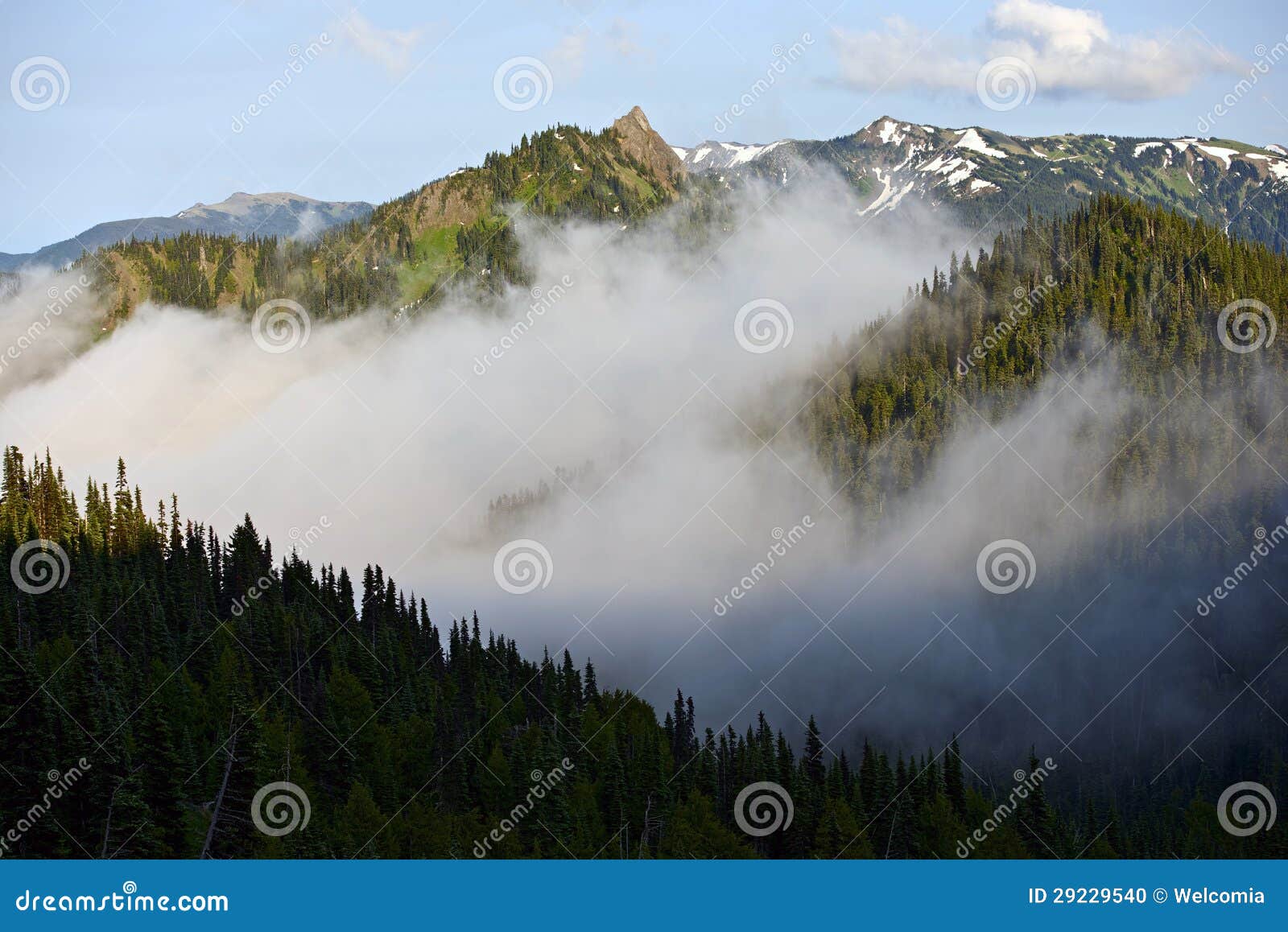 Olympic Range stock photo. Image of mountains, specie - 29229540