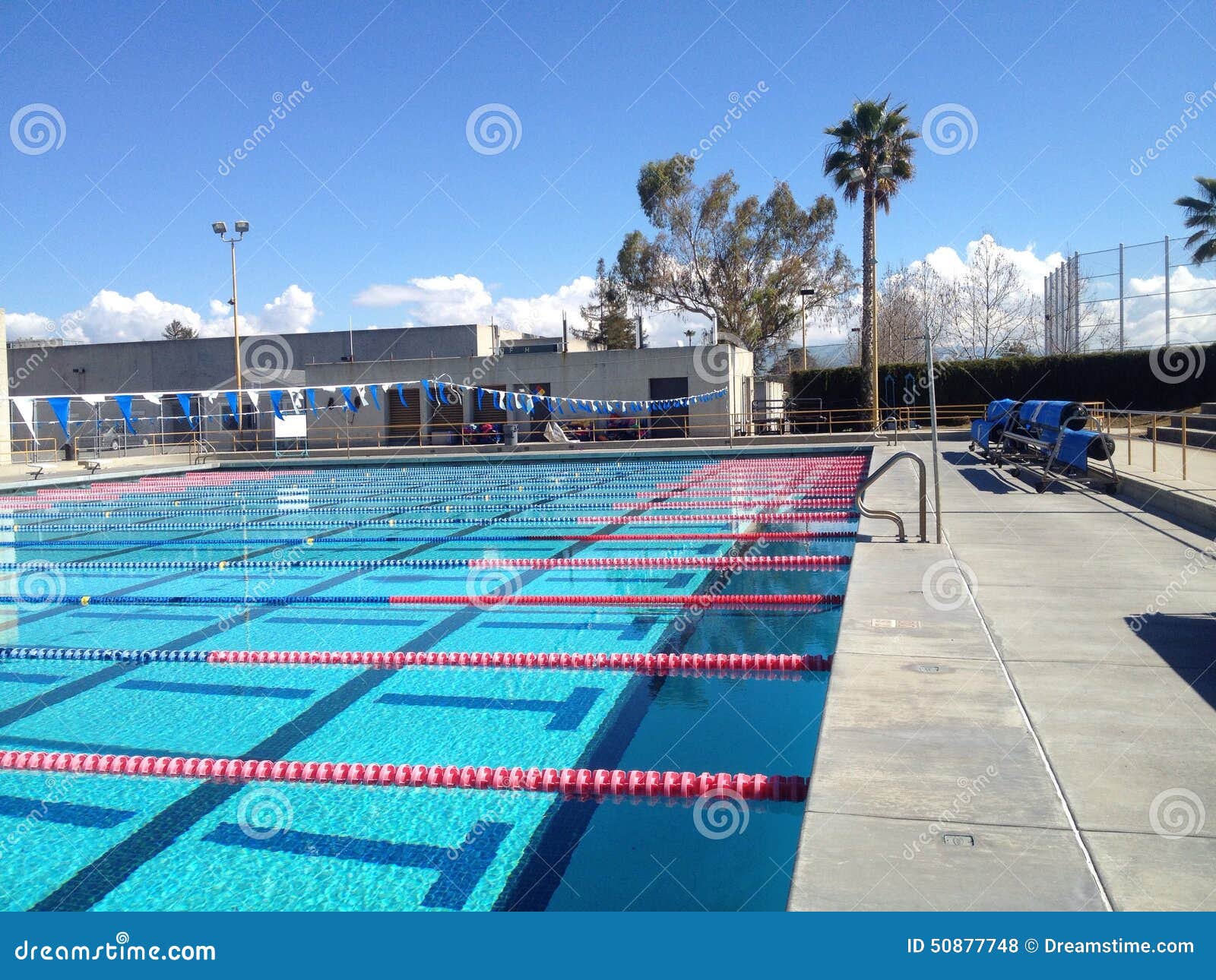 Olympic size pool stock photo. Image of olympic, water - 50877748