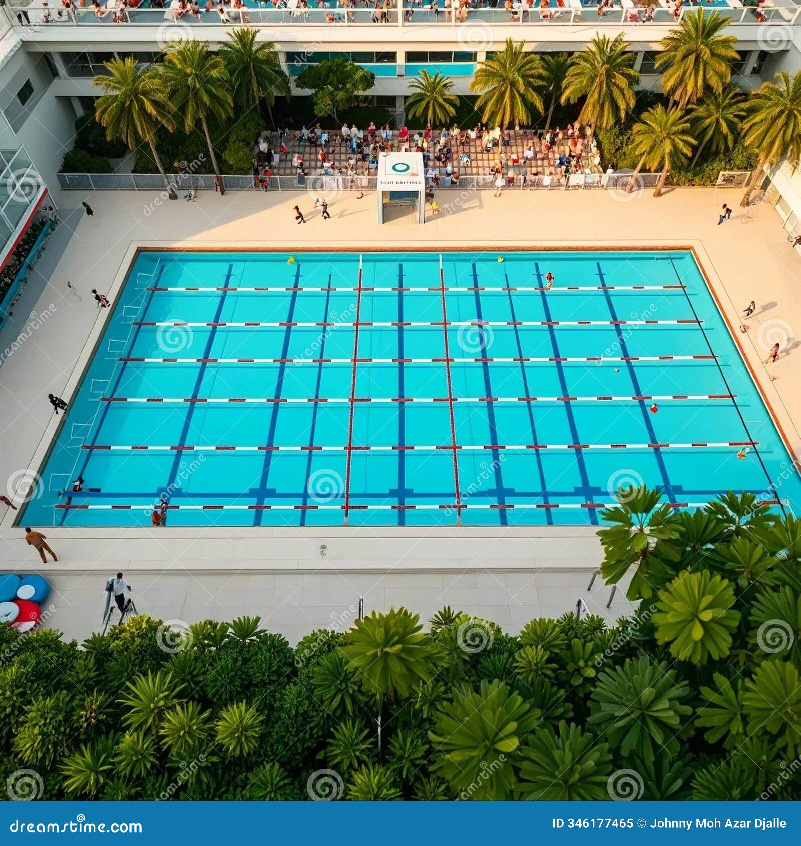 Swimming Pool Views from Above Stock Illustration - Illustration of ...