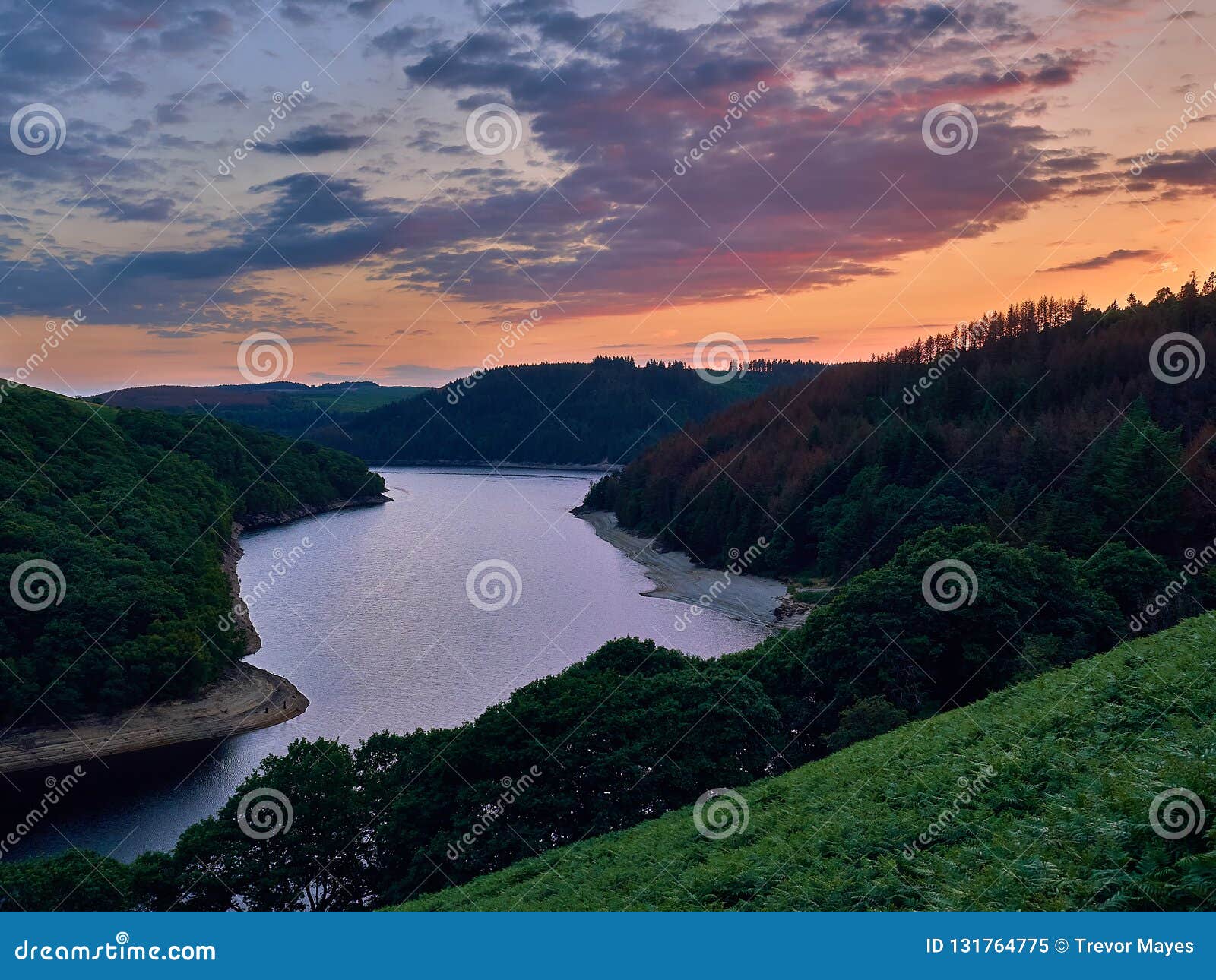 Llyn Brianne Reservoir at Sunset. Stock Image - Image of bird, watchers ...