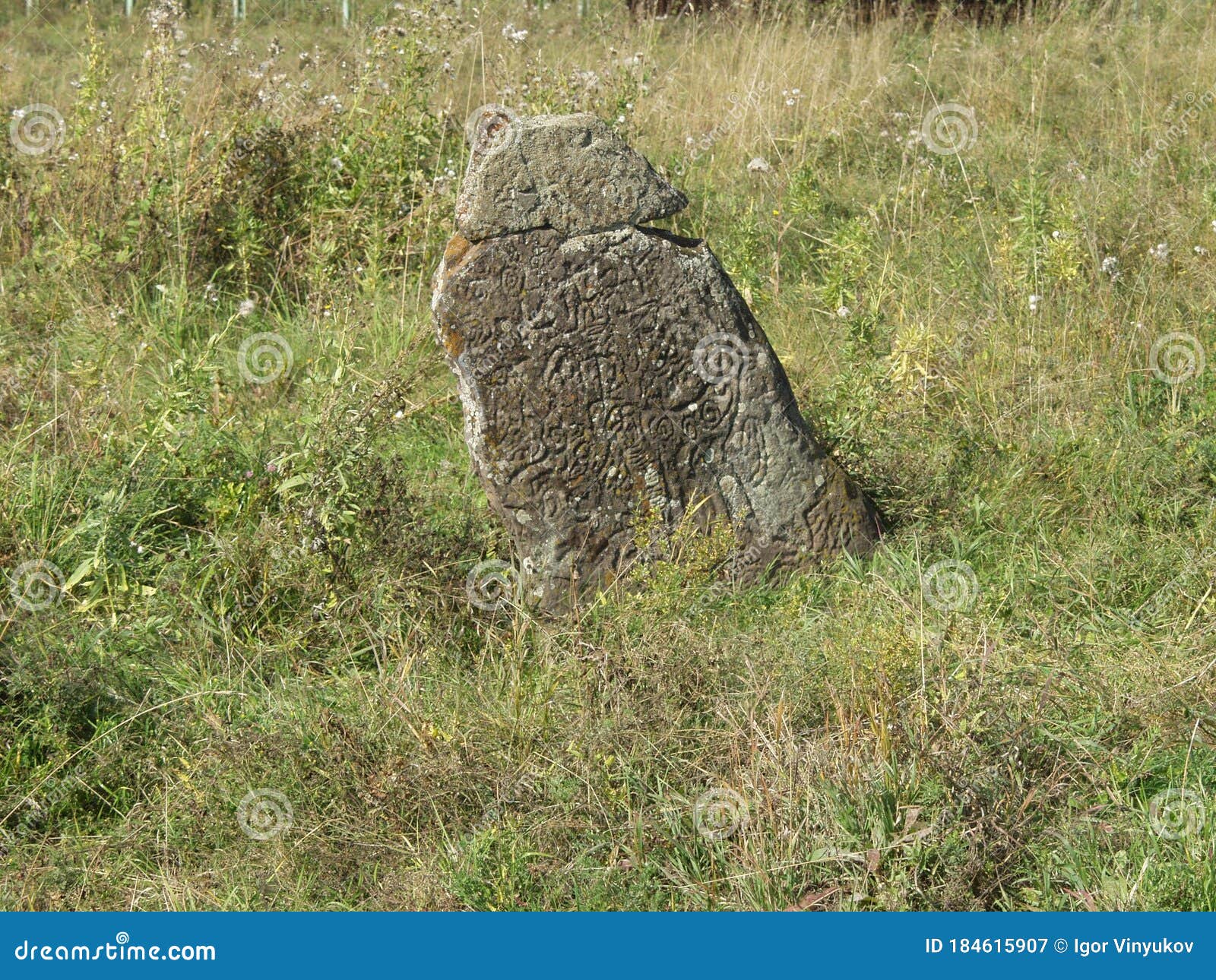 Petroglyphs - Ancient Writing on Stones. Stock Image - Image of siberia ...
