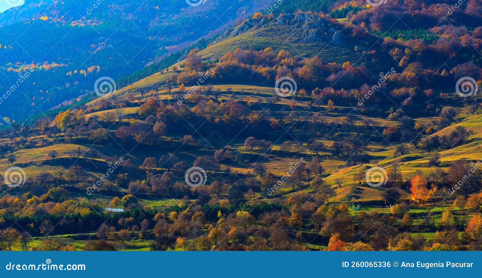 Autumn Story from Mountains of Transylvania , Remetea 22 Stock Photo ...