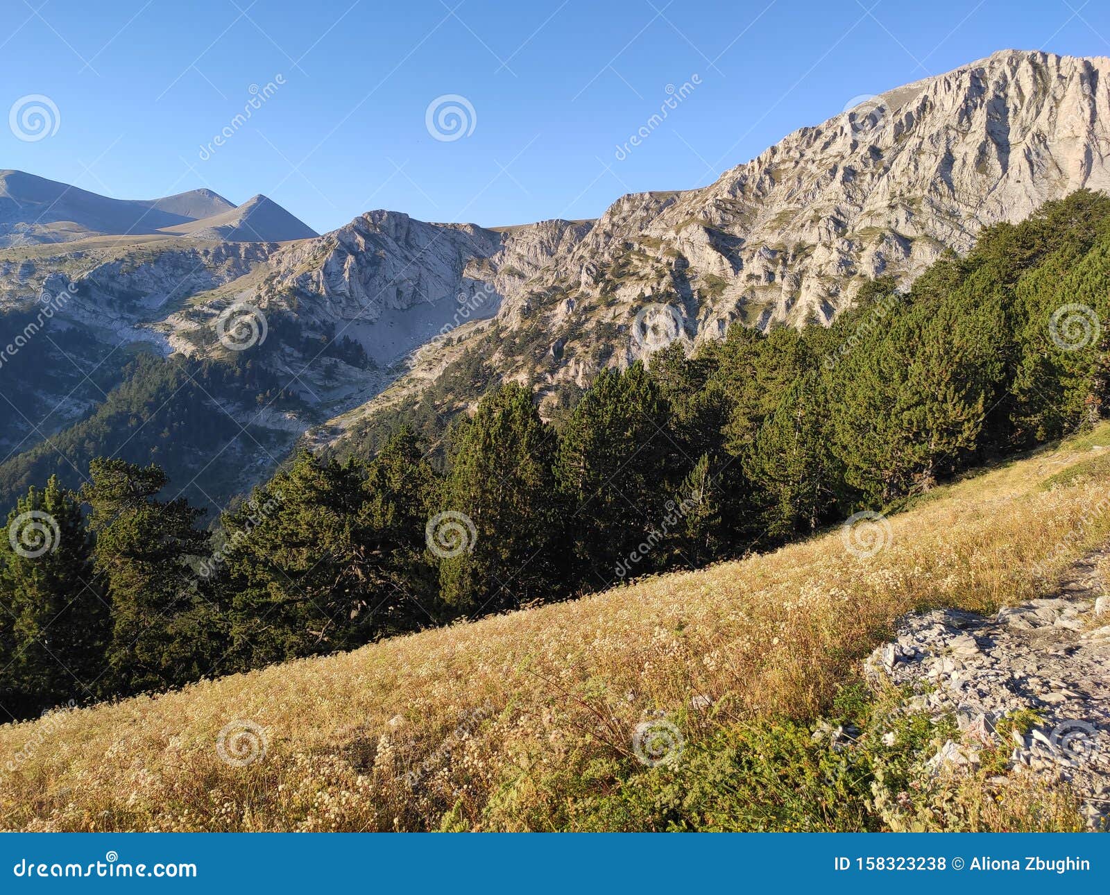 Olympus mountain stock photo. Image of view, forest - 158323238