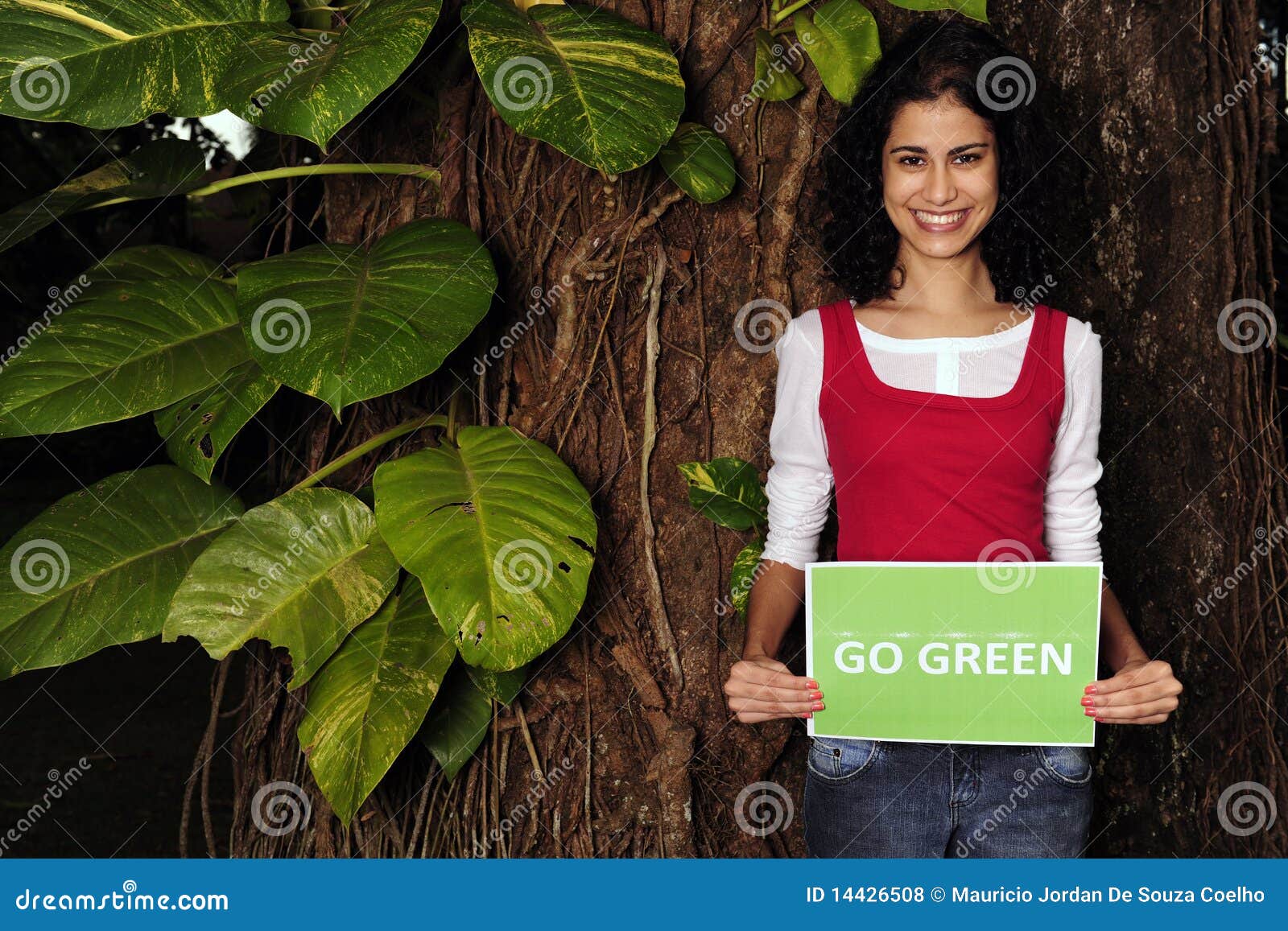 Green Sign On The Tree Stock Image | CartoonDealer.com #7274293