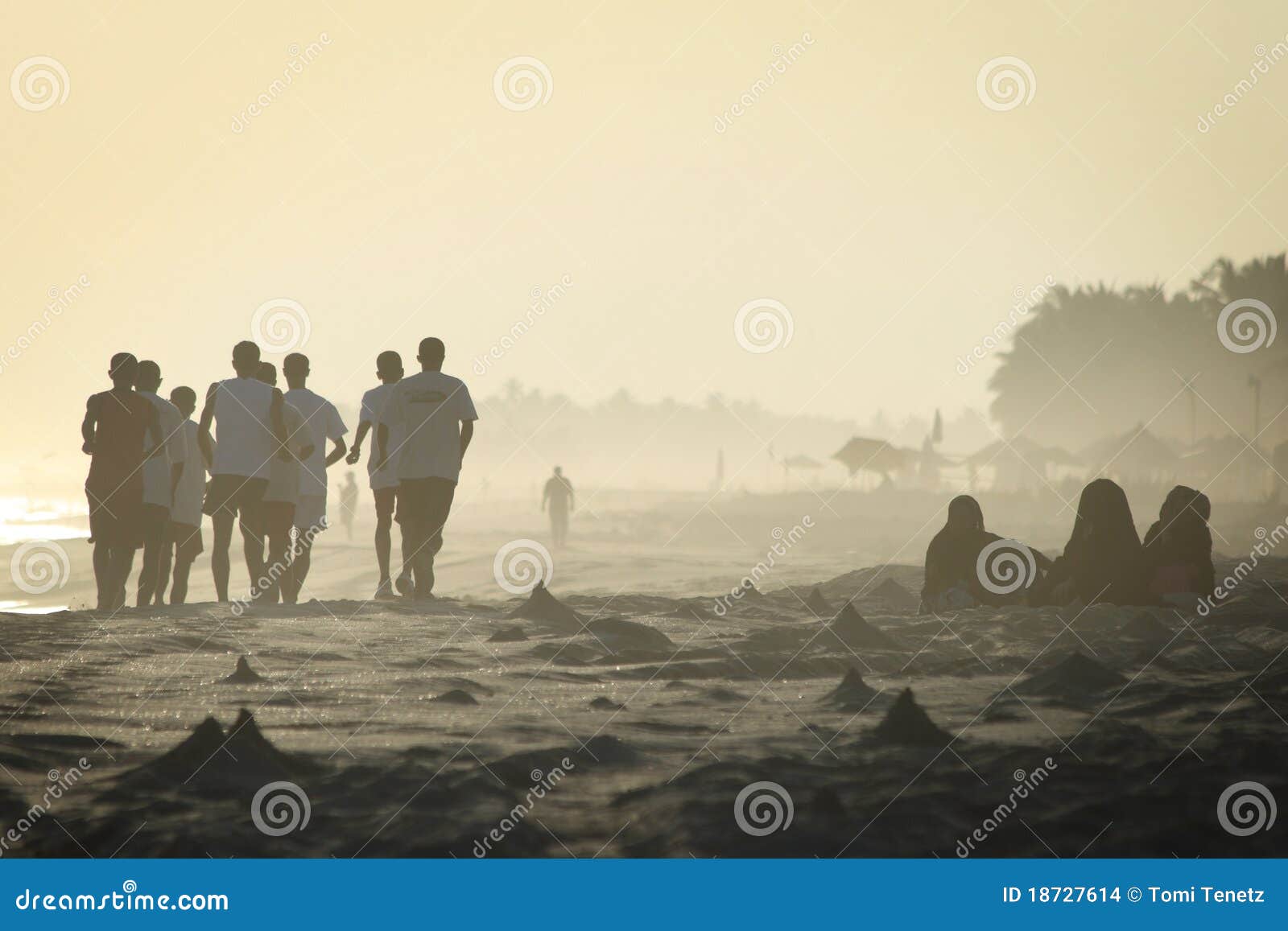 Oman: Life in Salalah Beach Stock Photo - Image of mist, active: 18727614