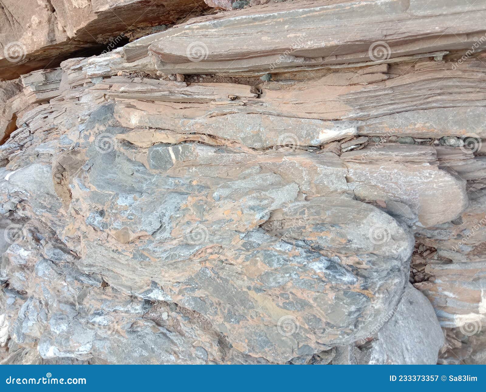 Oman mountains geology stock image. Image of trunk, cliff - 233373357