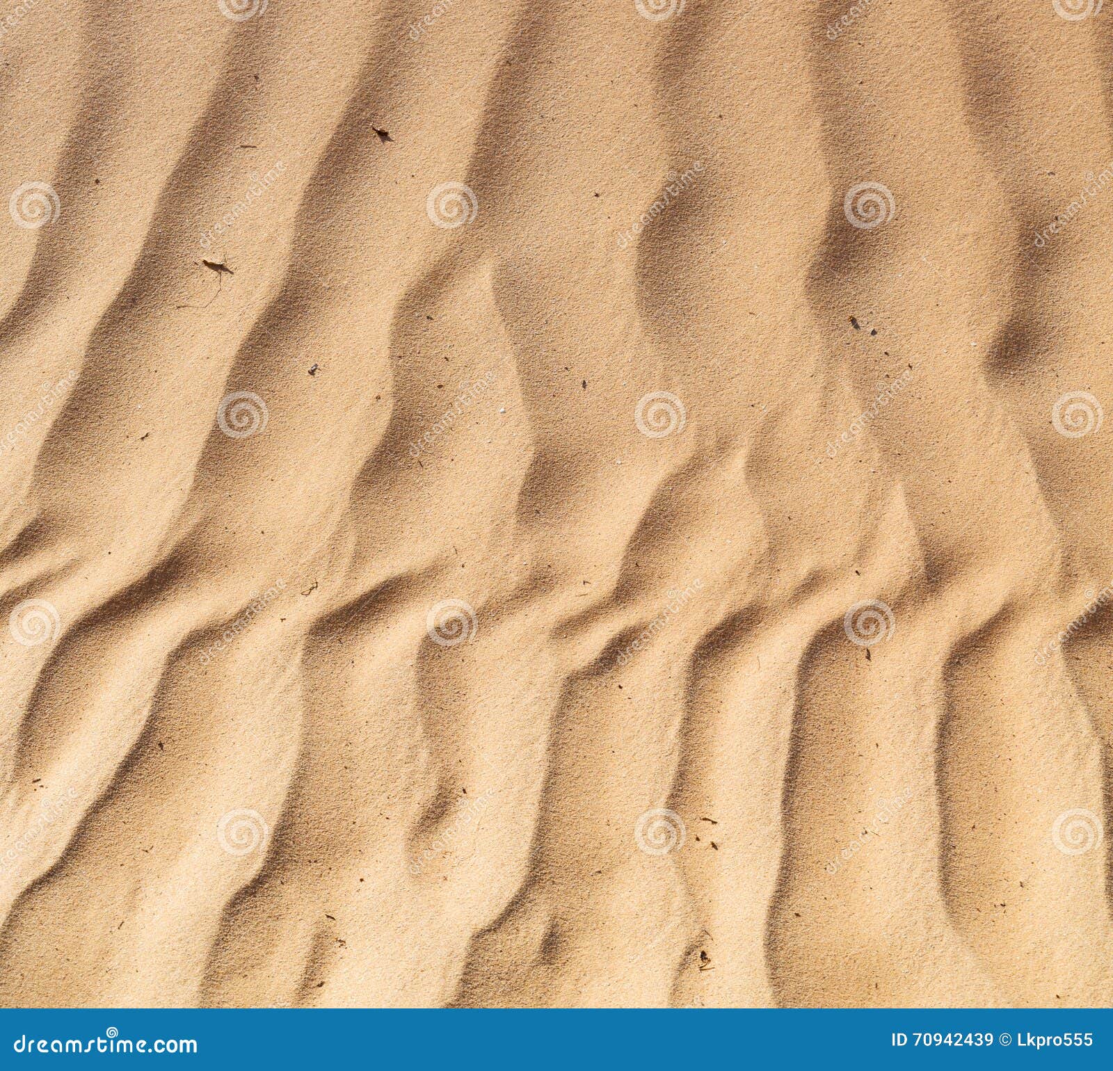 In Oman the Old Desert and the Empty Quarter Abstract Texture L Stock ...