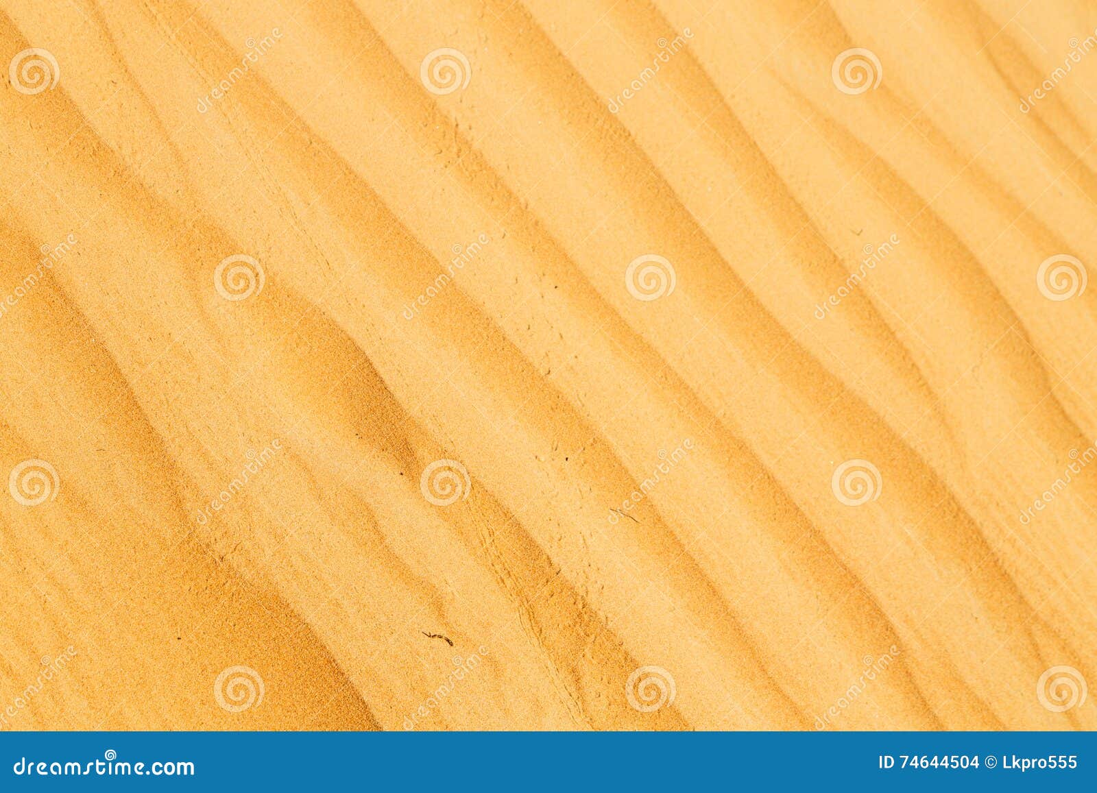 In Oman the Old Desert and the Empty Quarter Abstract Texture L Stock ...
