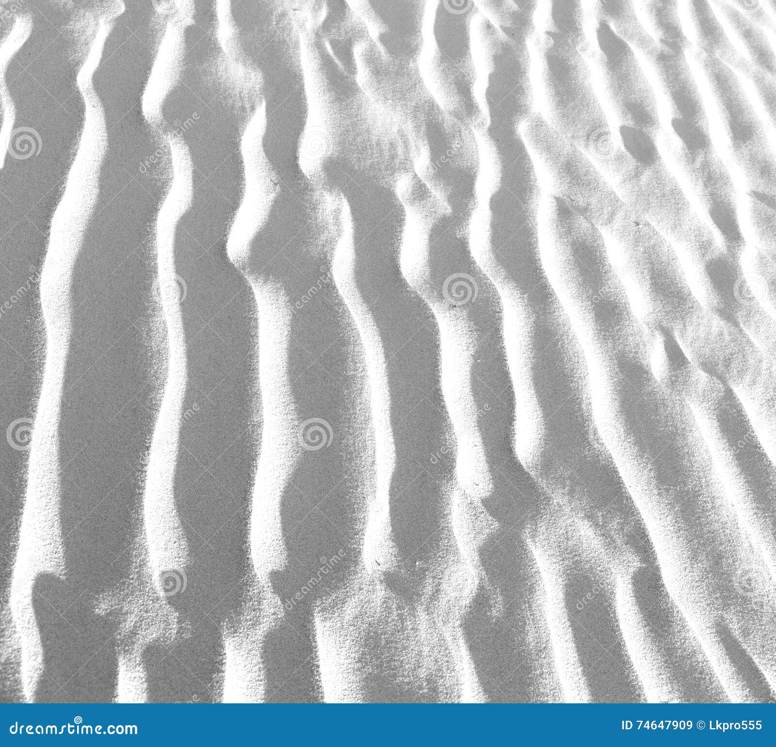 4,314 Quarter Texture Photos - Free & Royalty-Free Stock Photos from ...