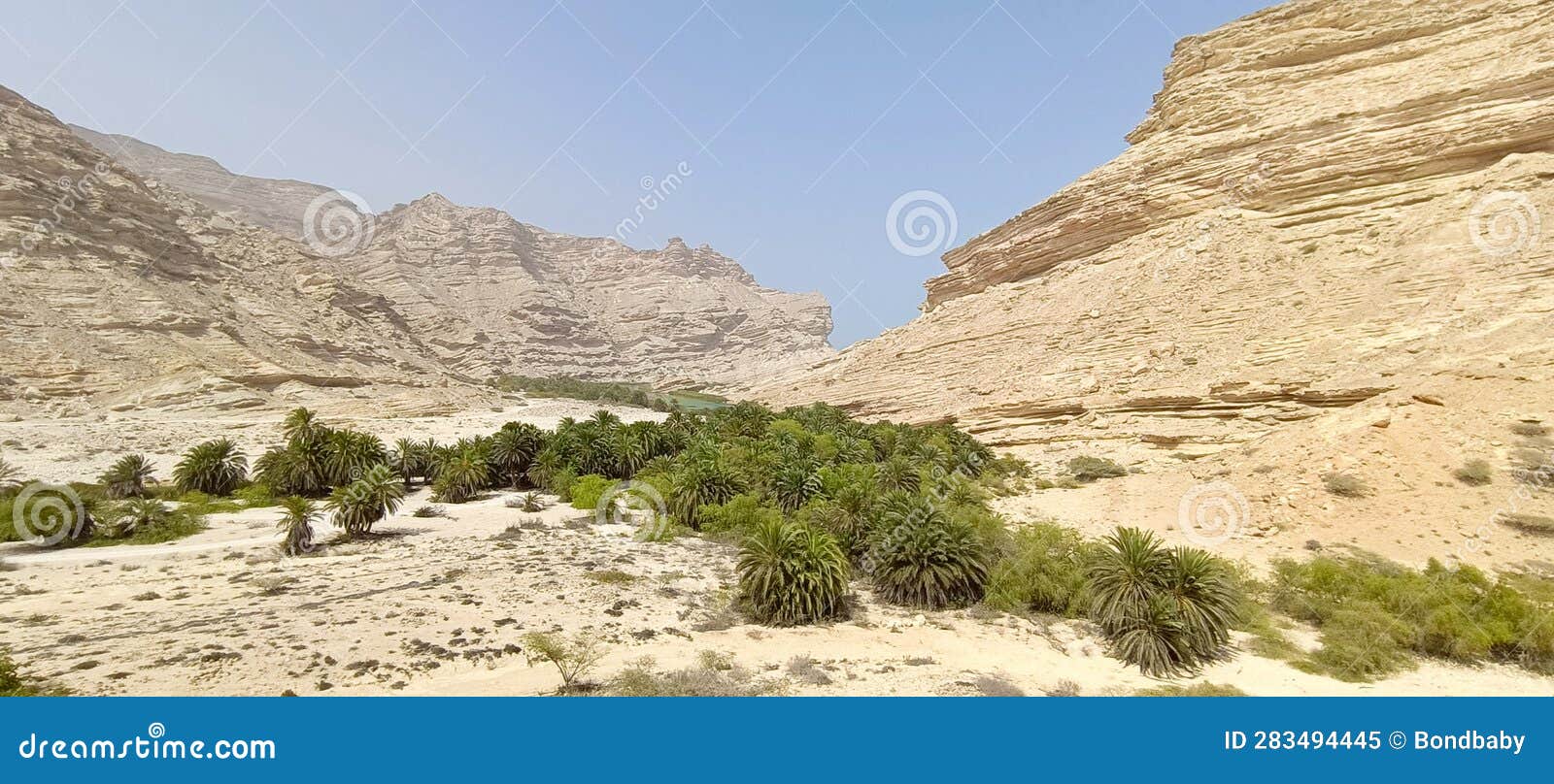 Oman Salalah Sky Blue Tree Mountain Stock Image - Image of oman, tree ...