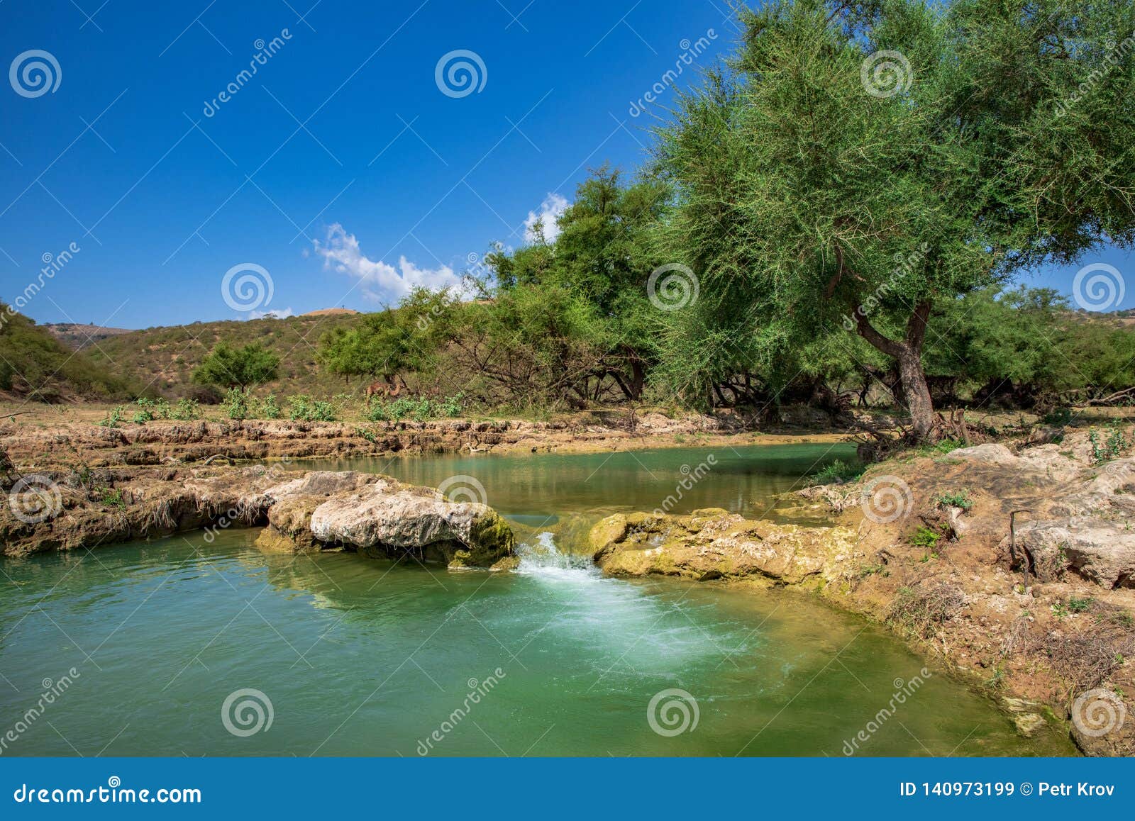 Oman and Wadi Darbat stock image. Image of long, details - 140973199
