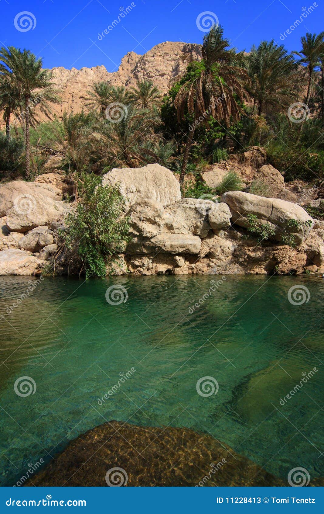 Oman: Wadi Tiwi stock image. Image of wadi, green, palm - 11228413