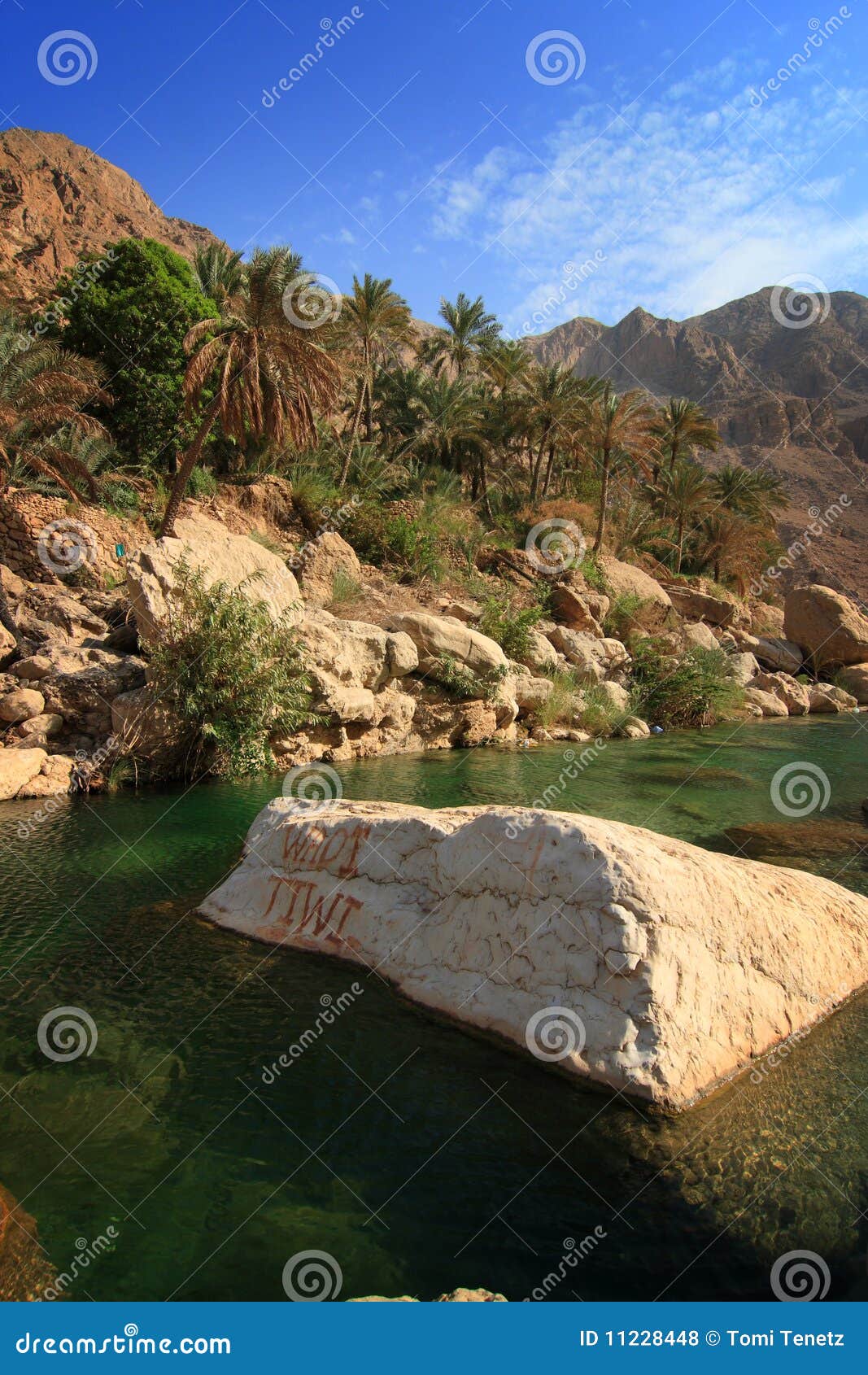 Oman: Wadi Tiwi stock photo. Image of palm, east, oman - 11228448