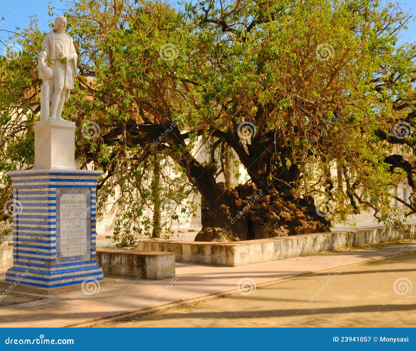 Ombu and Colon stock image. Image of tree, plant, spain - 23941057