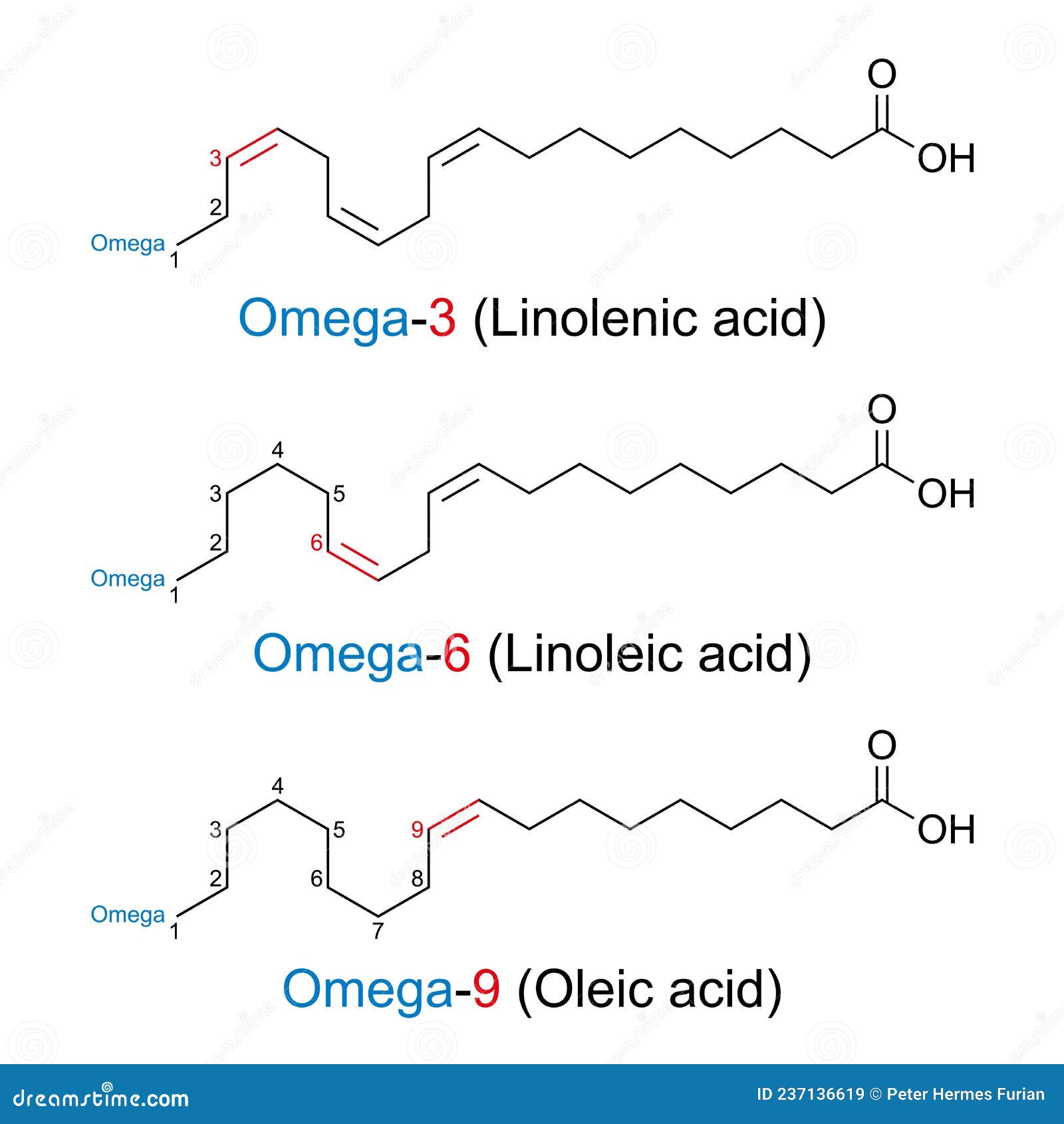 Omega-n Fatty Acids, Chemical Formulas and Skeletal Structures Stock ...