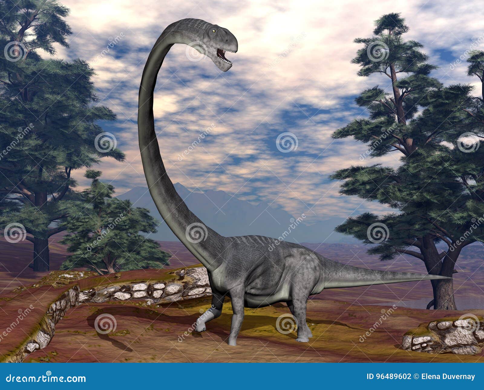 Omeisaurus Dinosaur - 3D Render Stock Illustration - Illustration of ...