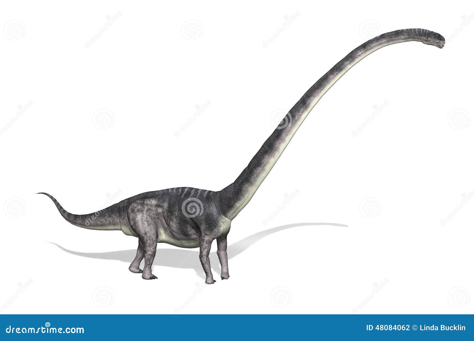 Omeisaurus Dinosaur stock illustration. Illustration of extinct - 48084062
