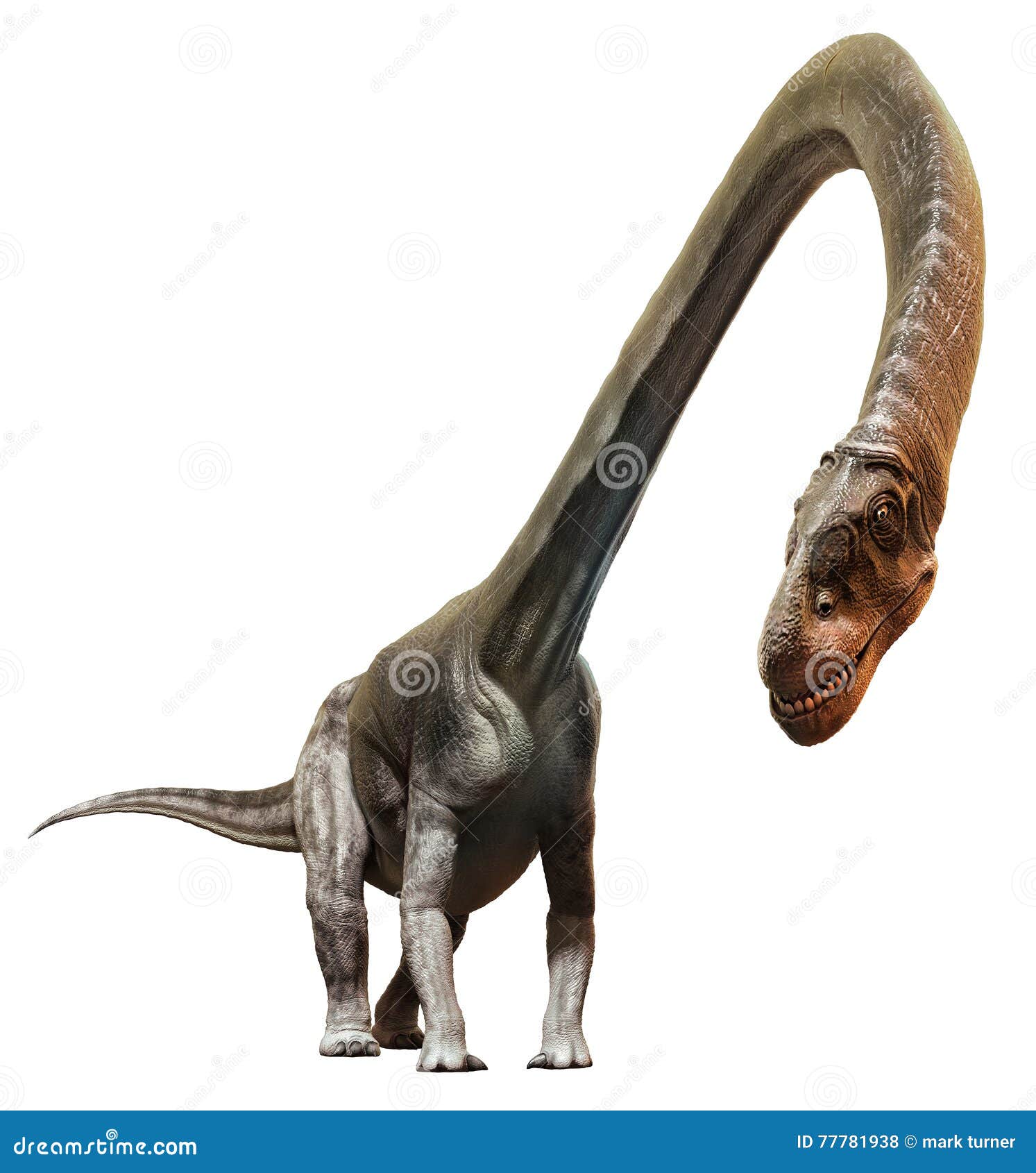 Omeisaurus stock illustration. Illustration of reptile - 77781938