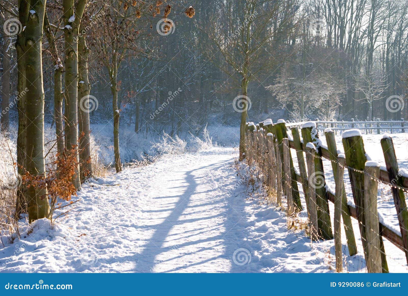 Omheining in De Winterlandschap Stock Foto - Image of nave, vers: 9290086