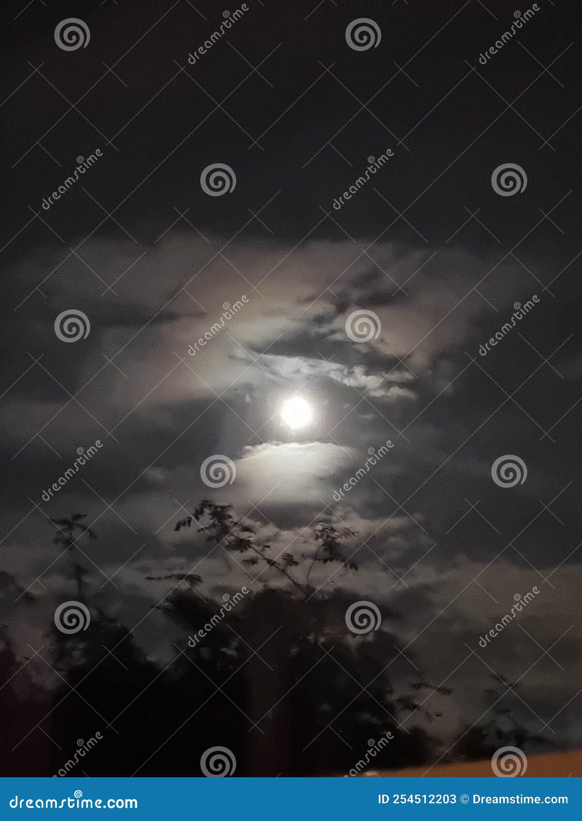 Ominous moon at night stock image. Image of white, night - 254512203