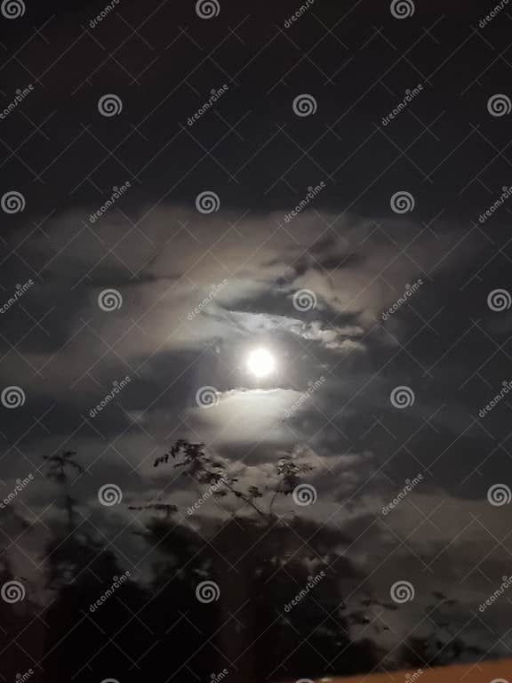 Ominous moon at night stock image. Image of white, night - 254512203