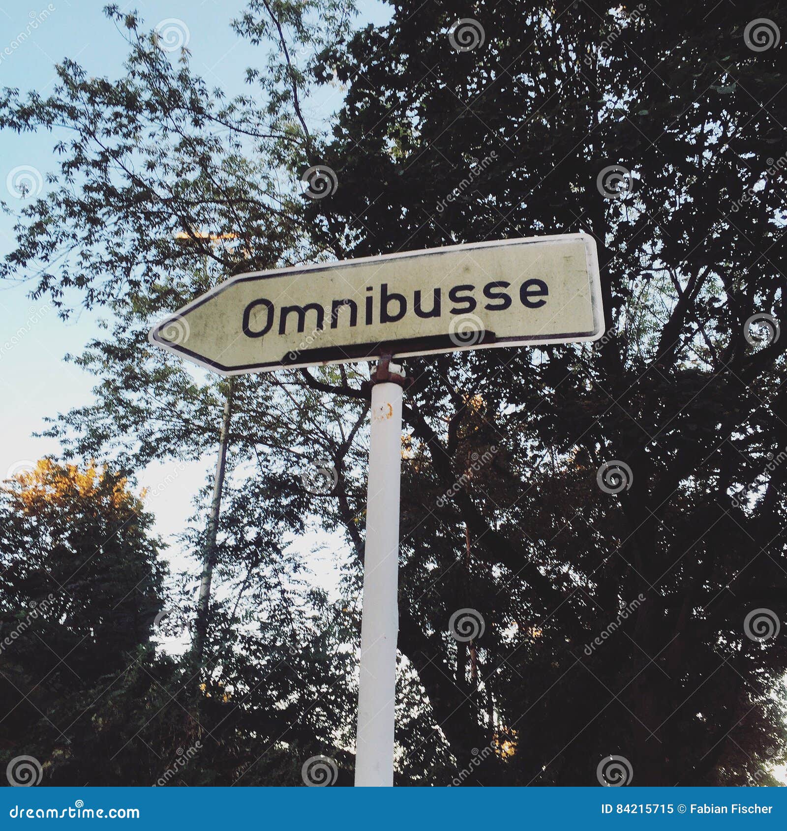 Omnibusse stock image. Image of label, buses, outdoor - 84215715