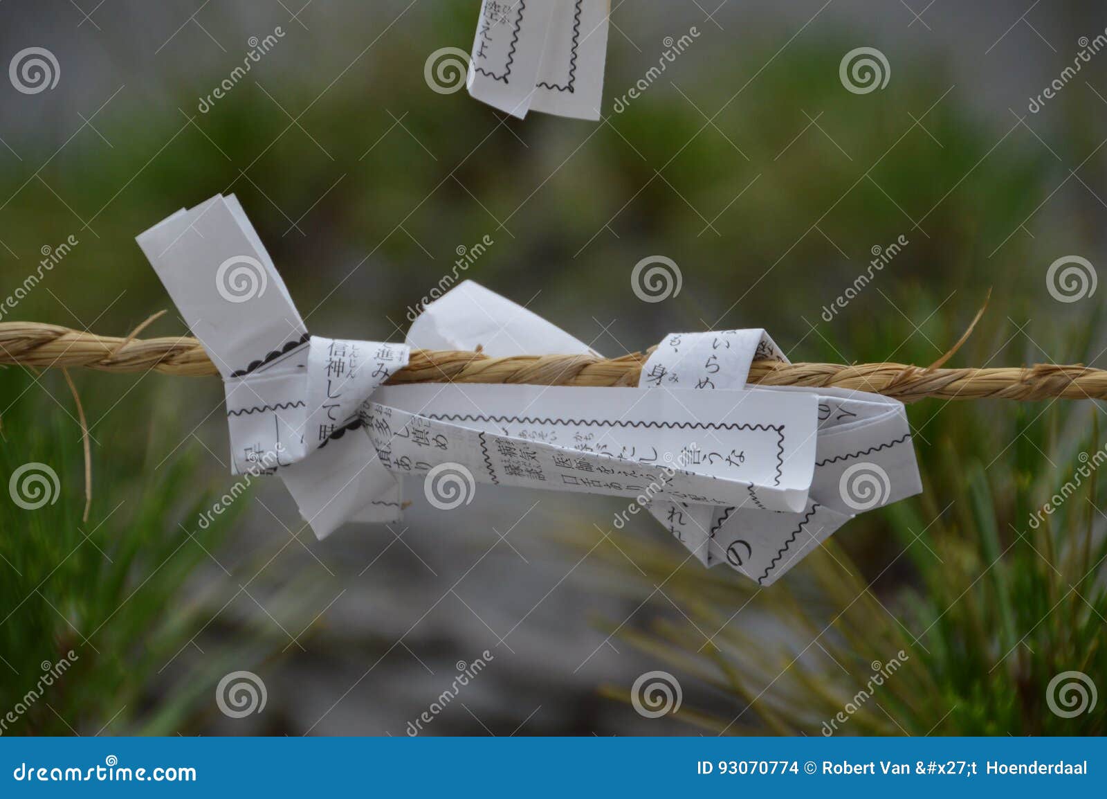 Omikuji or Fortune Telling Paper Stock Photo - Image of religion, paper ...
