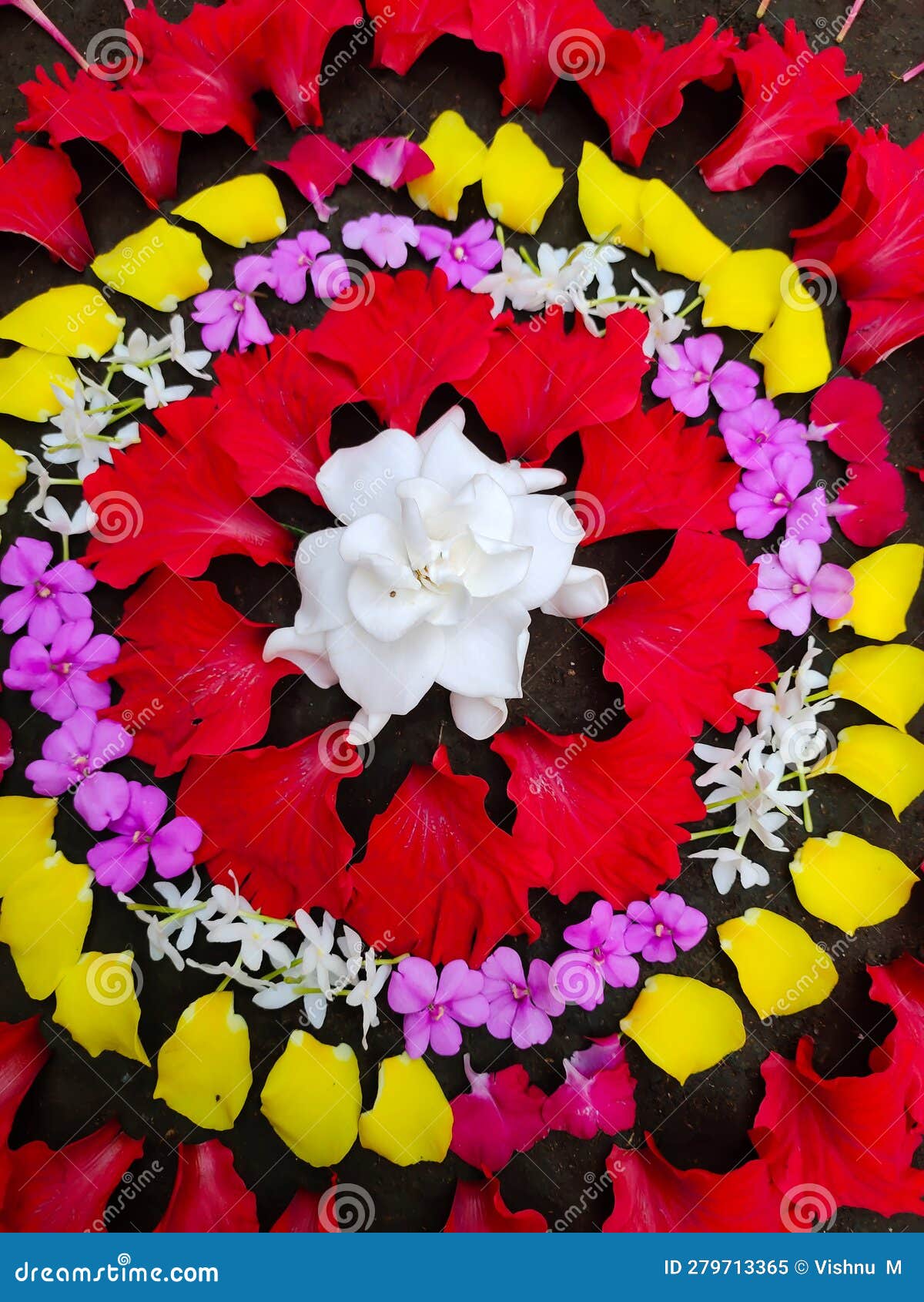 Onam pookalam stock image. Image of yellow, leaf, pink - 279713365