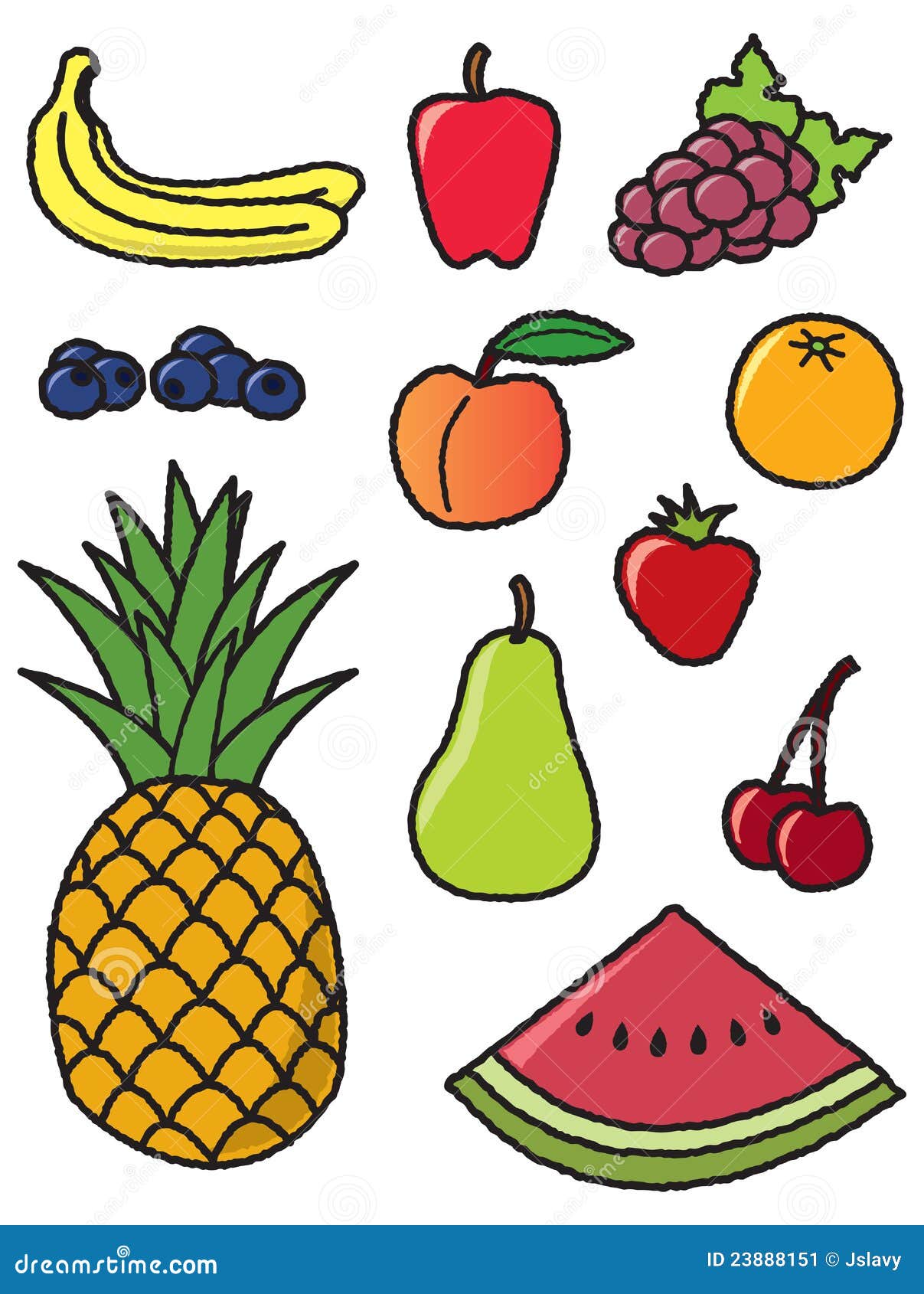 Once frutas comunes ilustración del vector. Ilustración de verde - 23888151